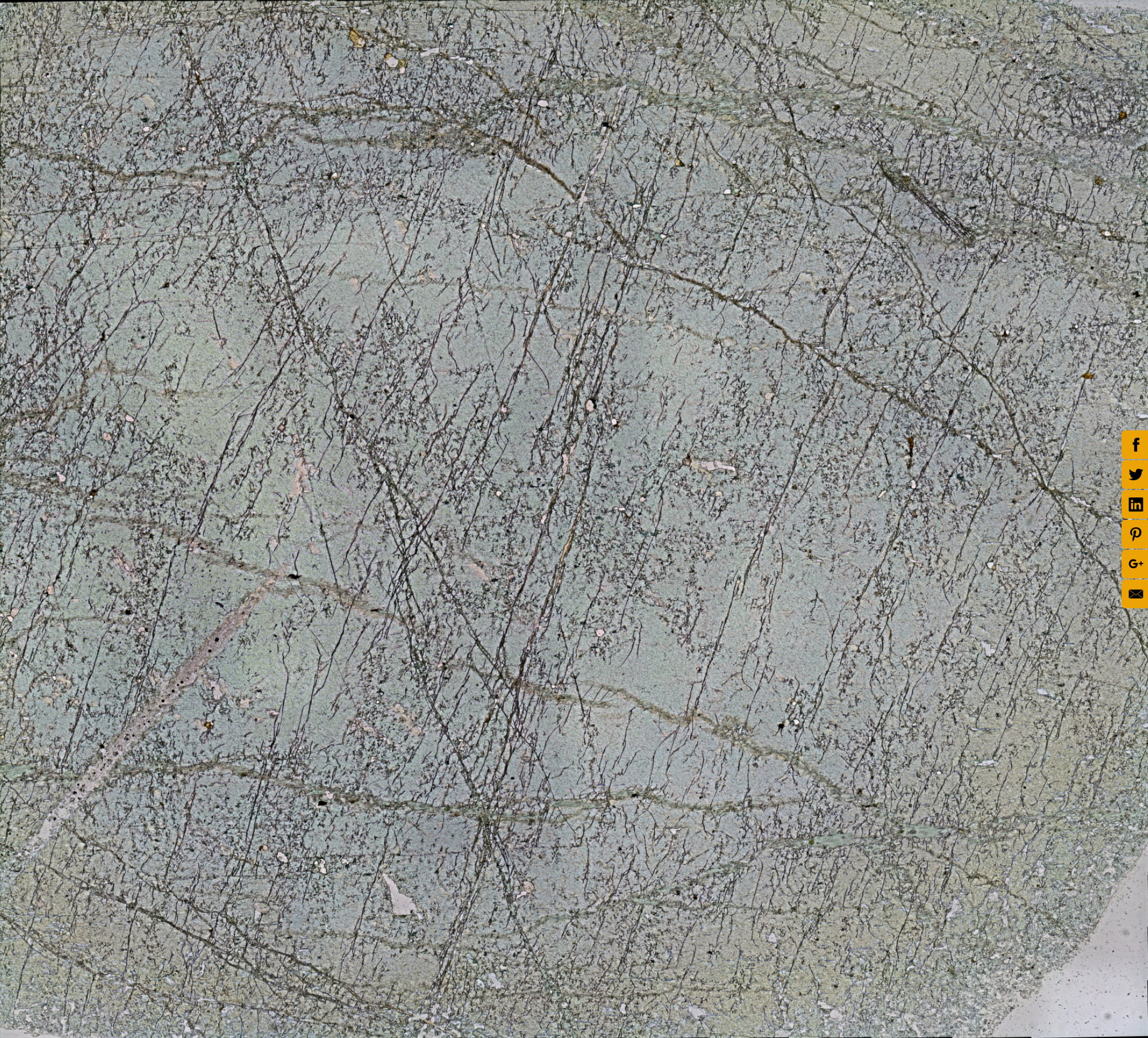 Augite, Plane Polars