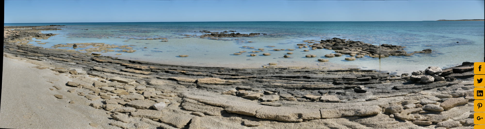 Living Stromatolites
