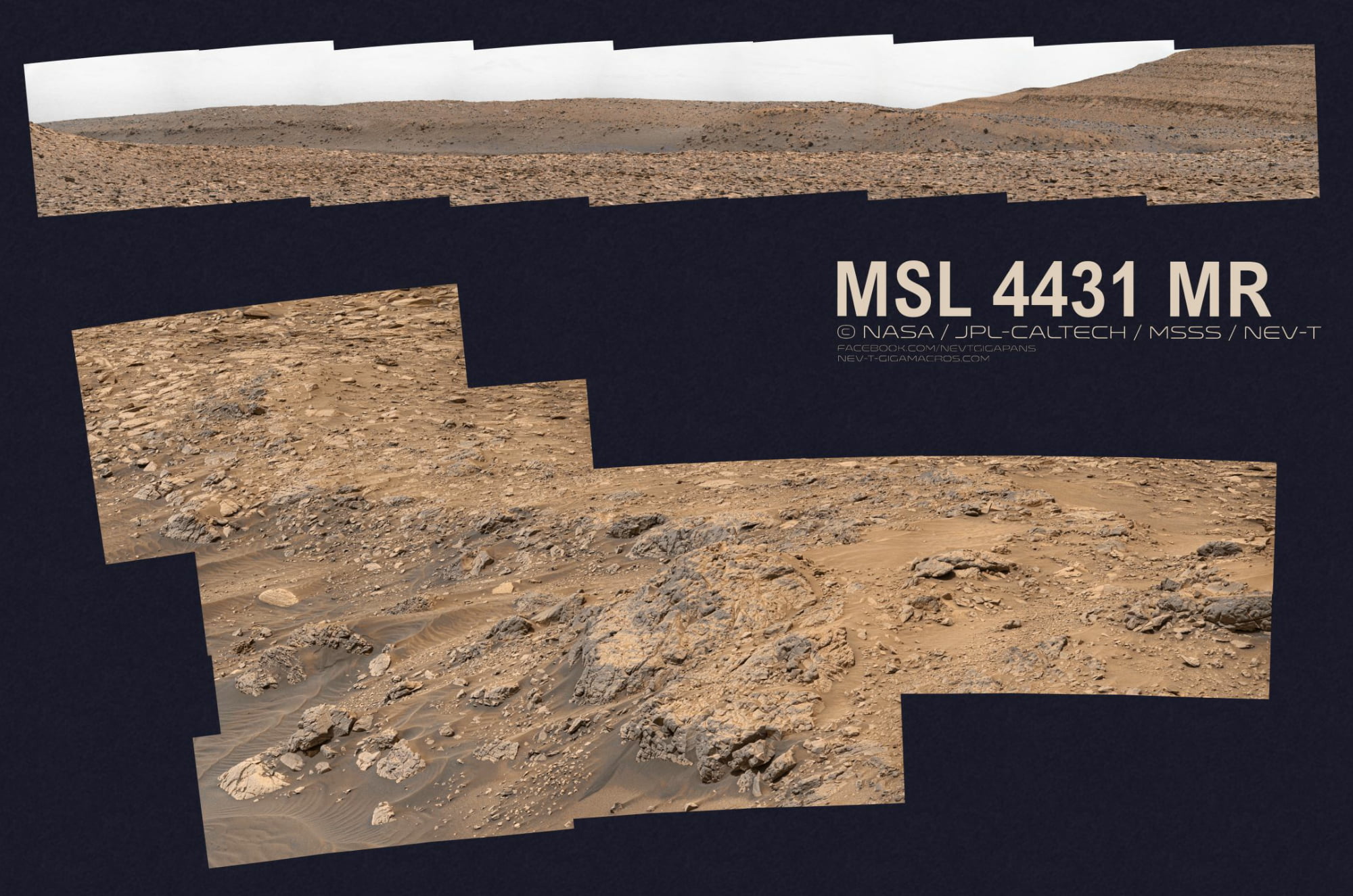 MSL 4431 MR