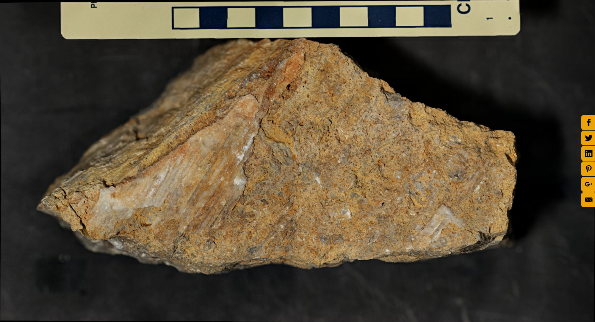 Metamorphic Rocks Lab Sample K2, Bottom View