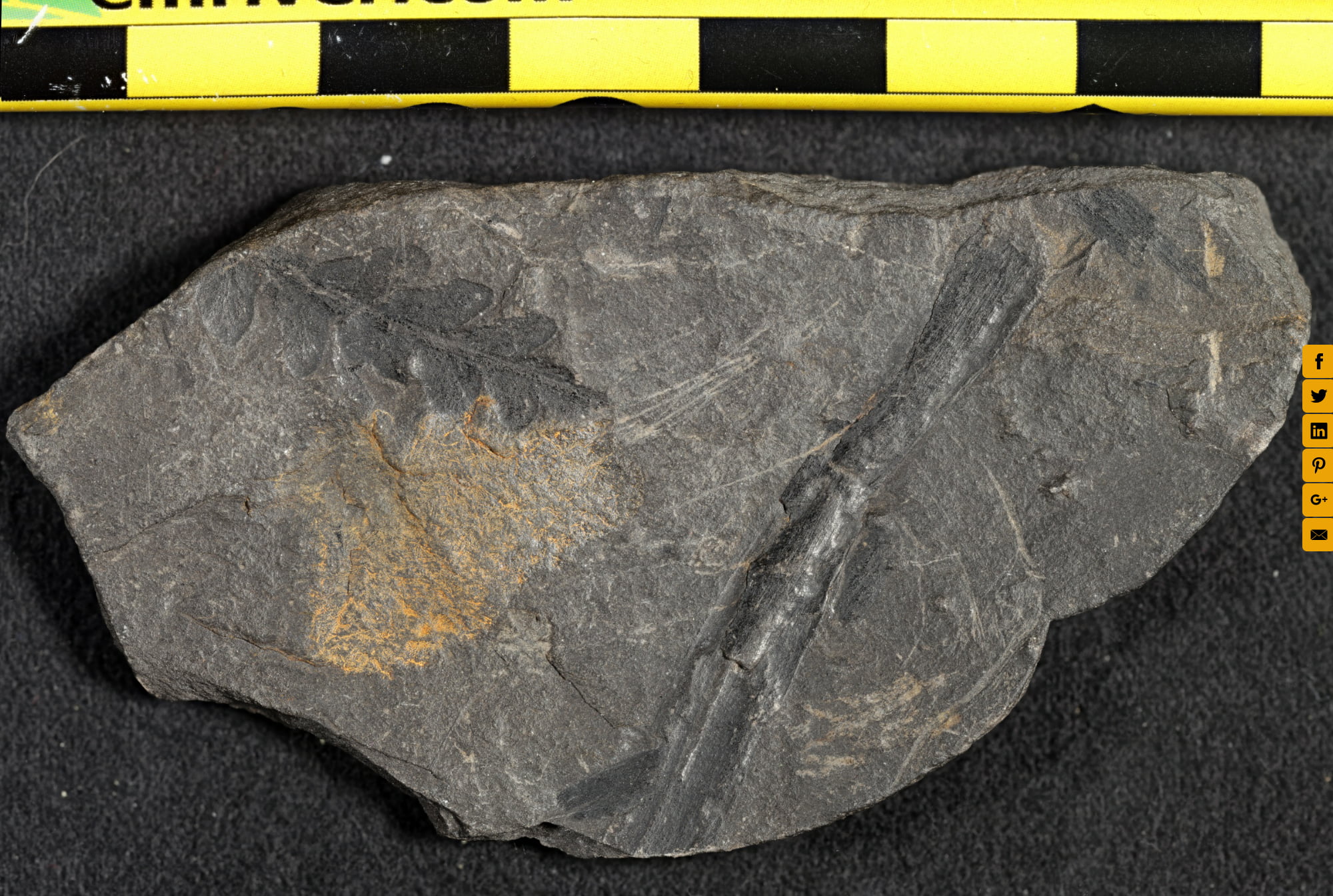 Sedimentary rocks 3a