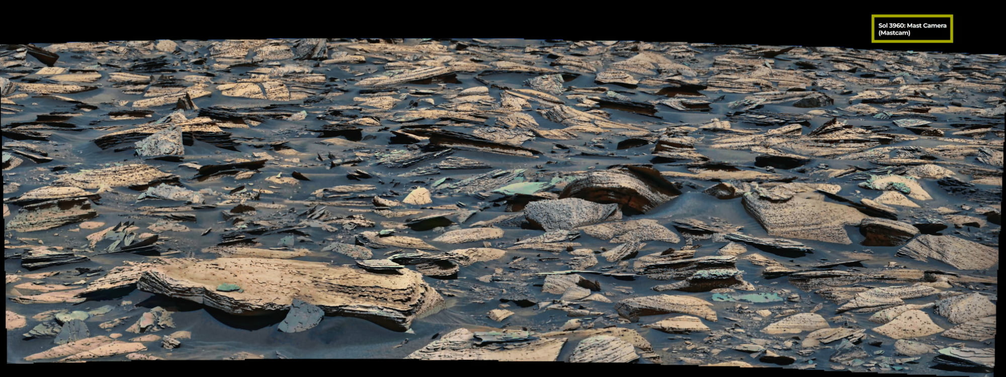 Sol 3960 Mast Camera