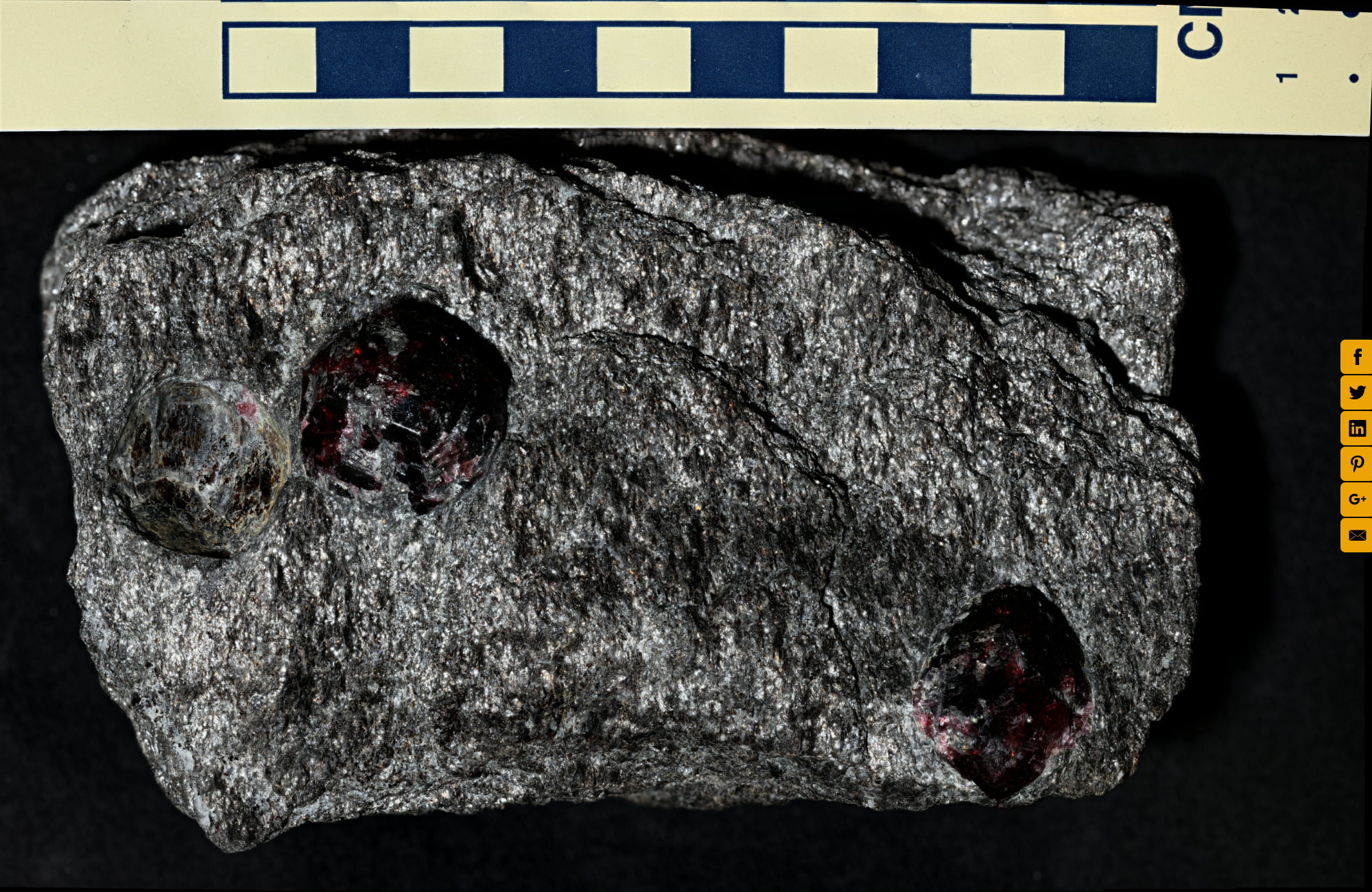 Garnet in the metamorphic rock, garnet-biotite schist