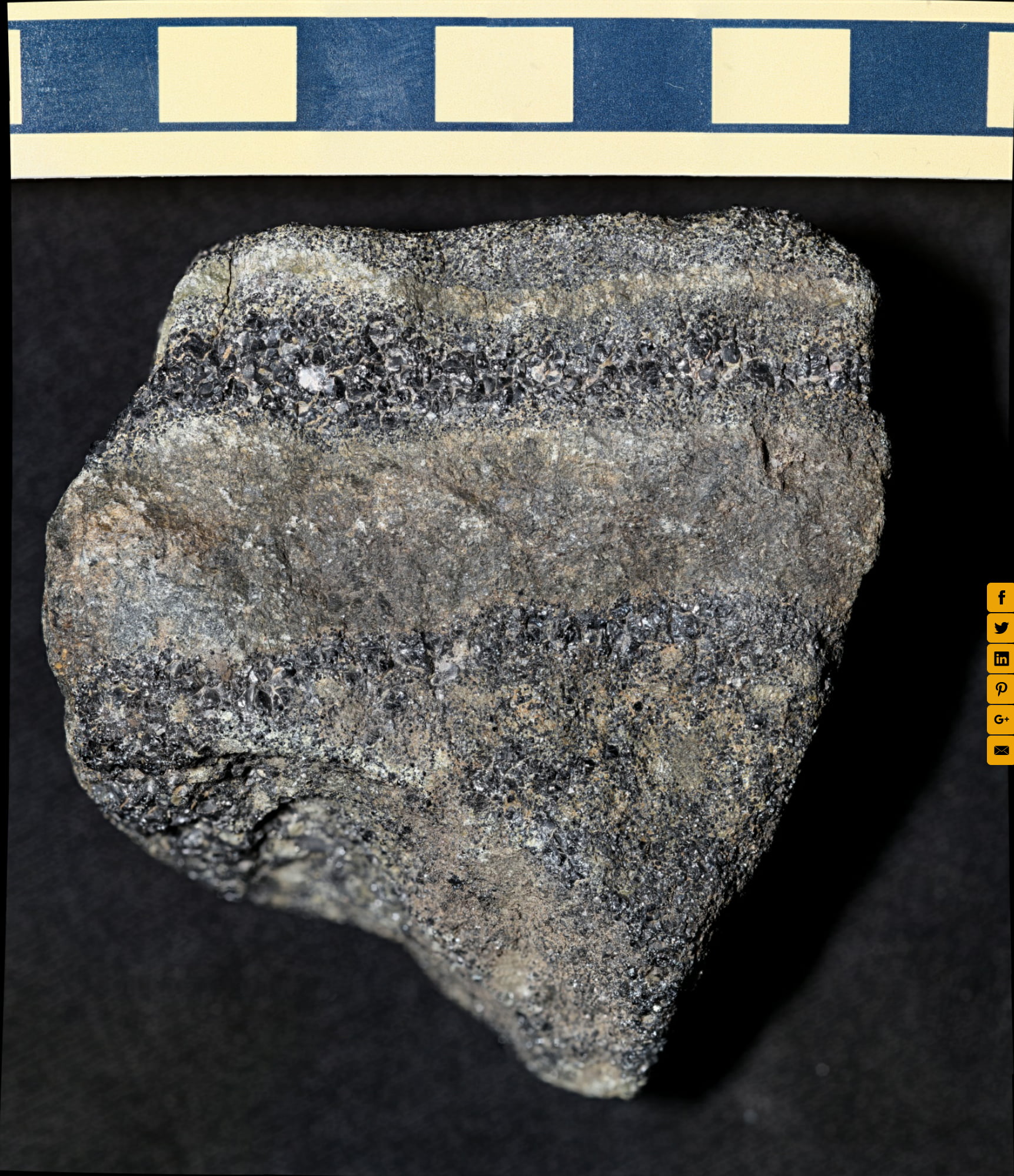 Chromite olivine cumulate, Stillwater Complex, Montana