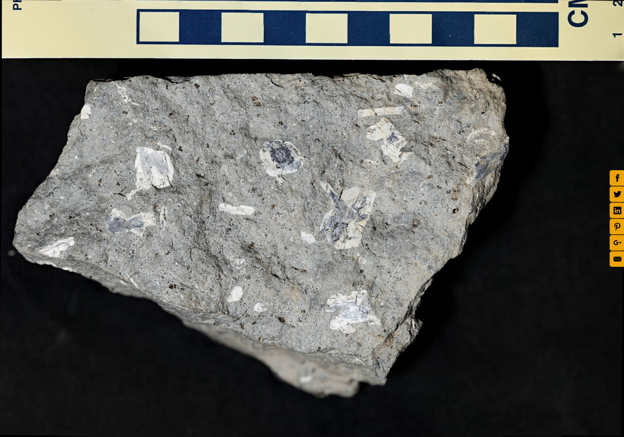 Porphyritic andesite, Crazy Mountains, Montana