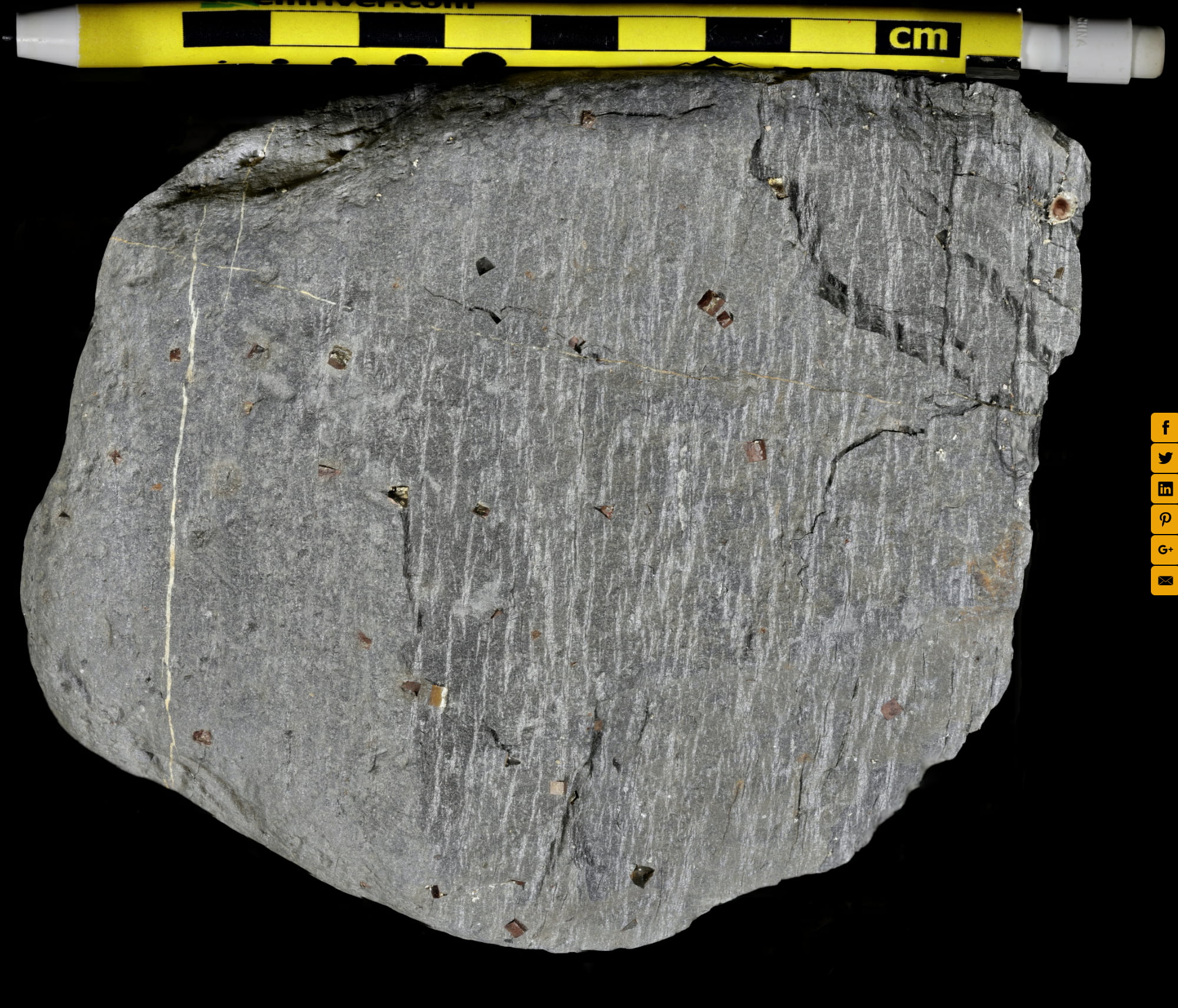 Pyrite-bearing phyllite, Islay, Scotland