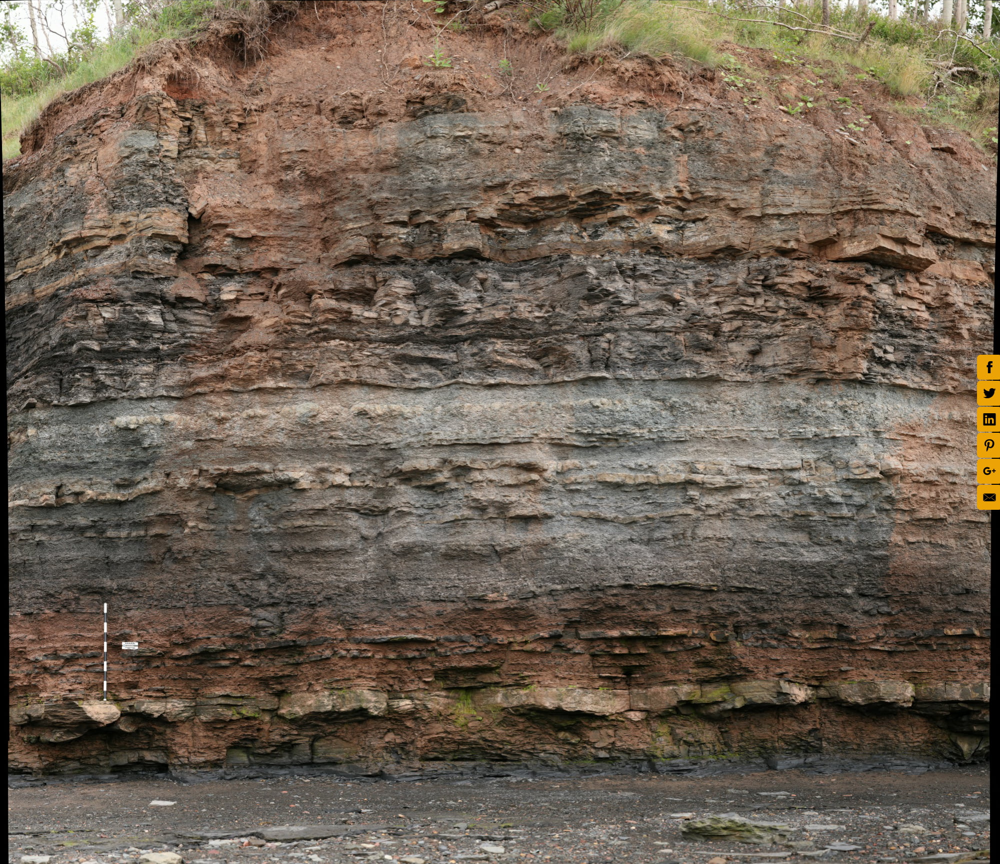 Horton Bluff cliff section v3