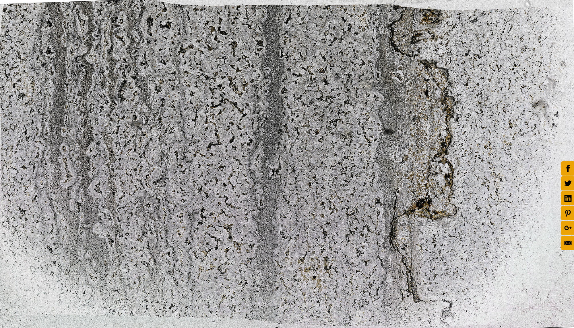 Experiment-503_IIpol