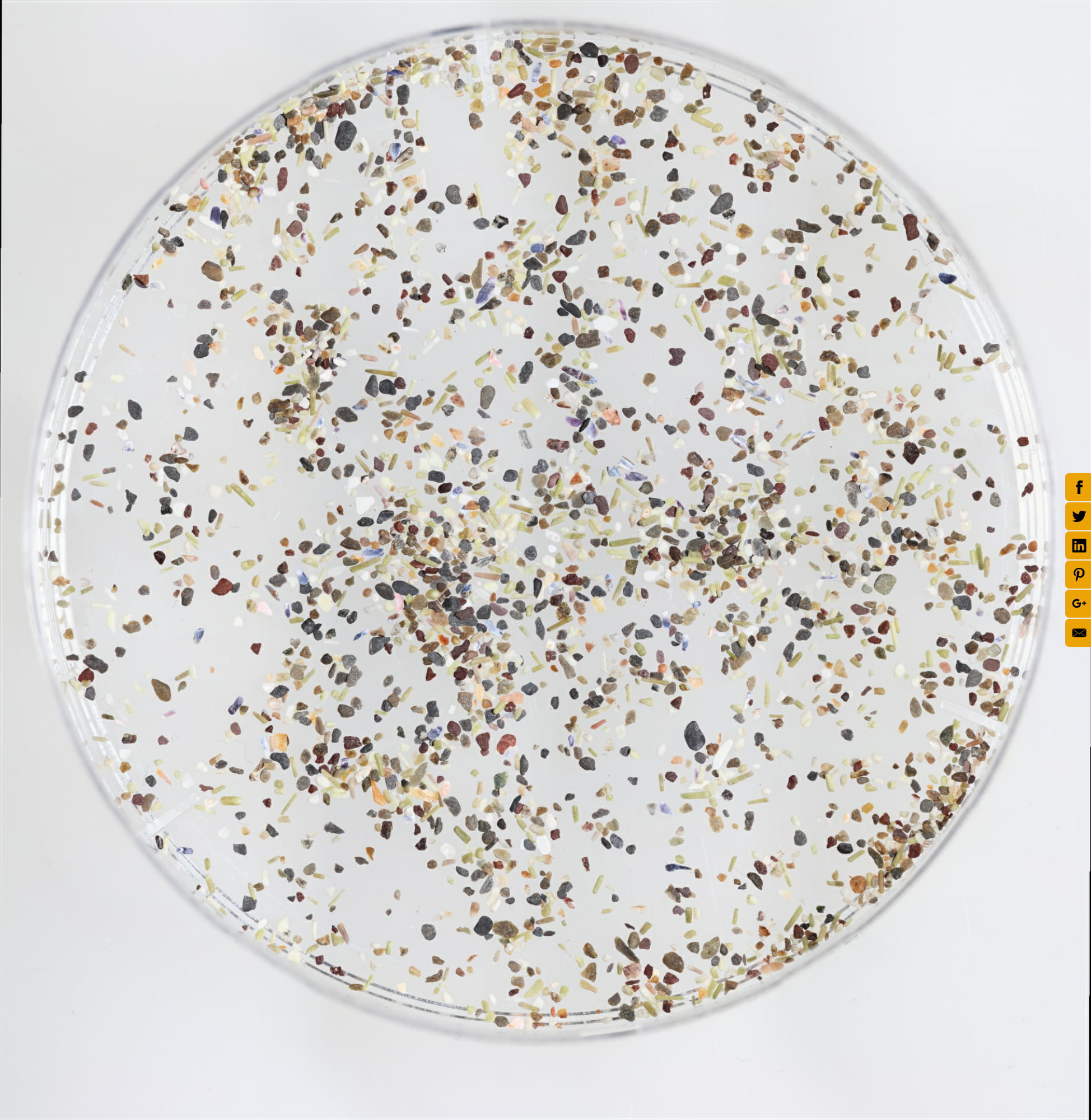 Microfiber Pollution in Sediment from Sandy Cove, Newfoundland and Labrador