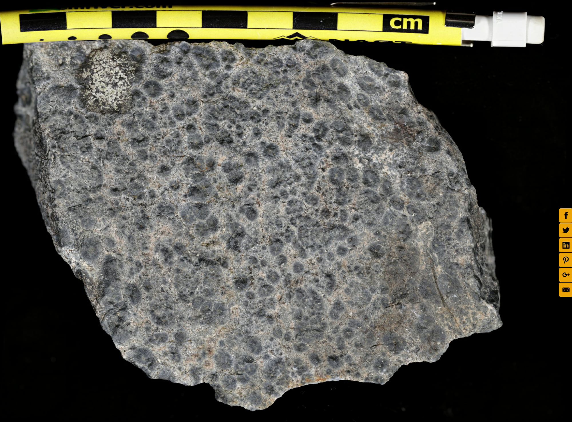 Spherulitic felsite, Shetland