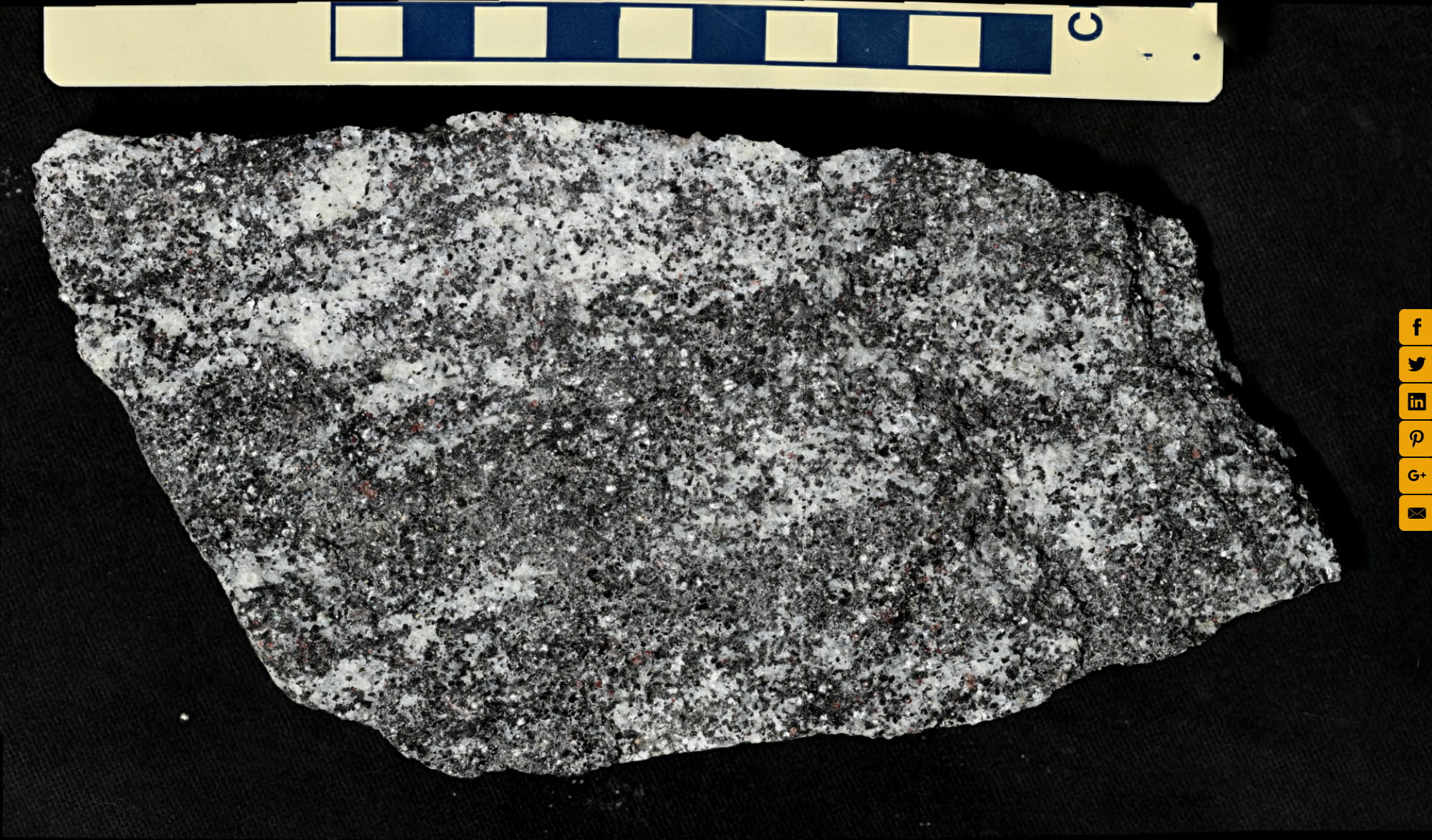 Biotite-muscovite-garnet gneiss