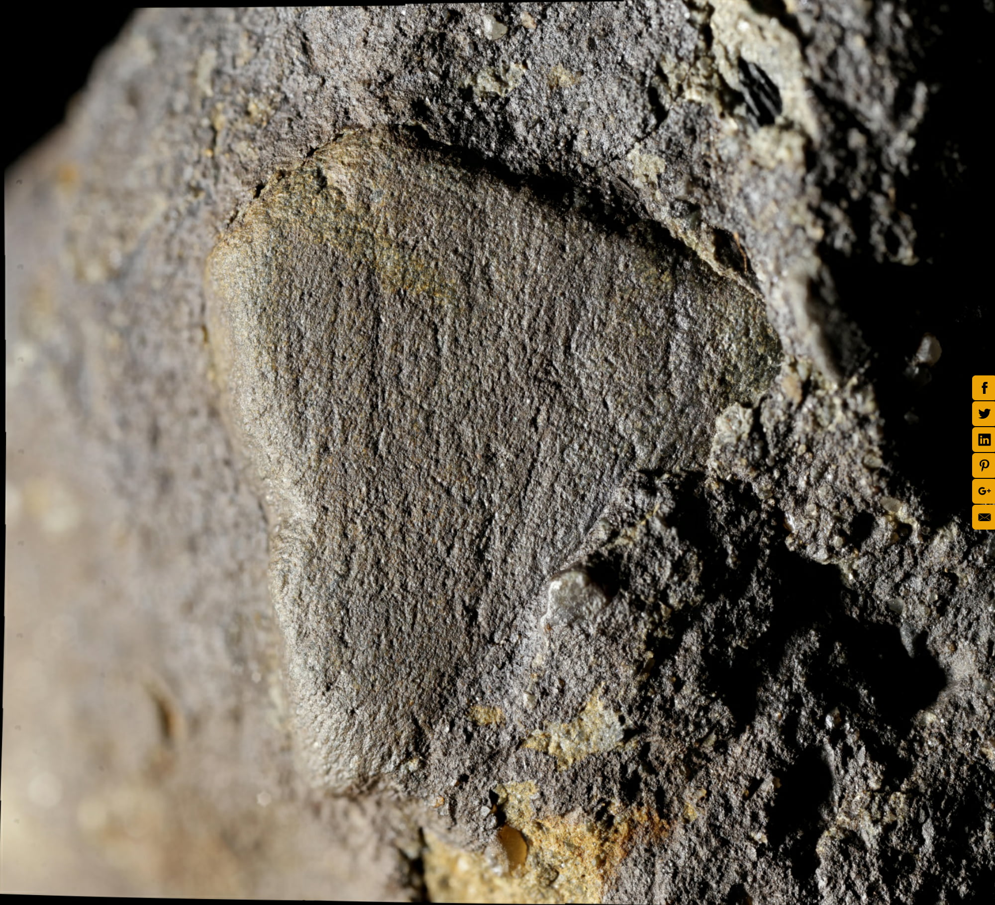 Glacial striations on a pebble, Rockwell Formation diamictite, Corridor ...