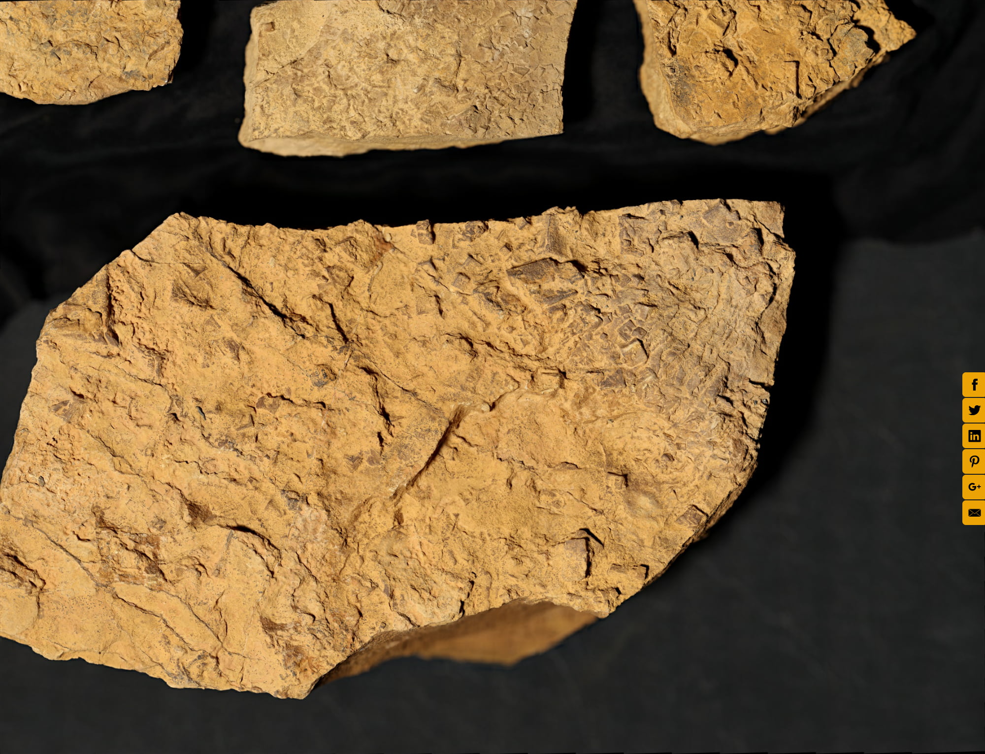 Sedimentary Rocks Lab Sample P