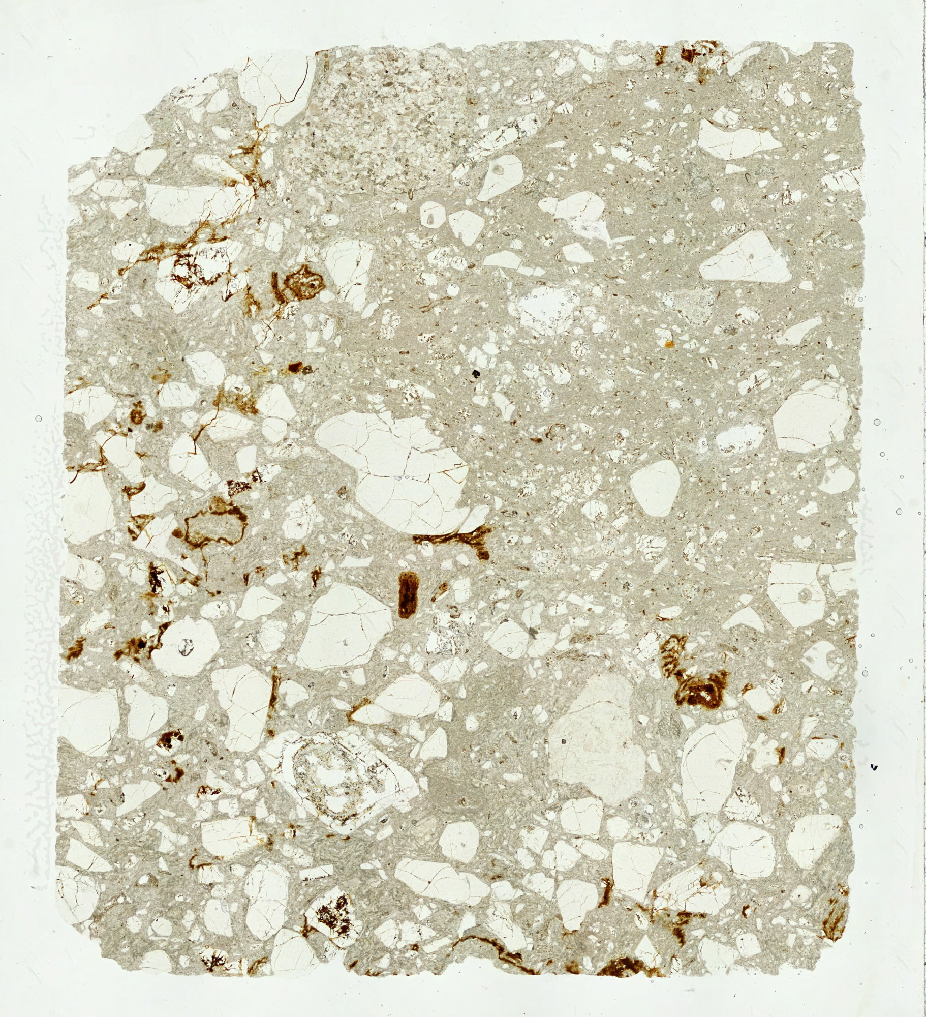 Rhyolite 5X Thin Section Brightfield