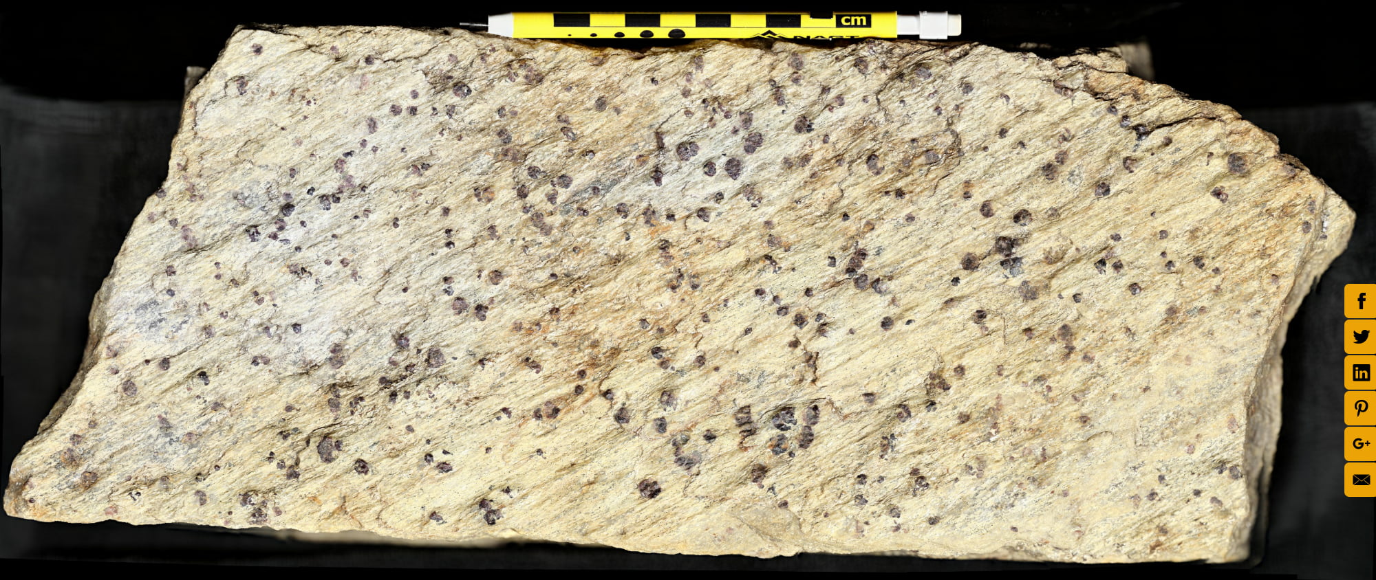 Igneous/Metamorphic Lab Sample G
