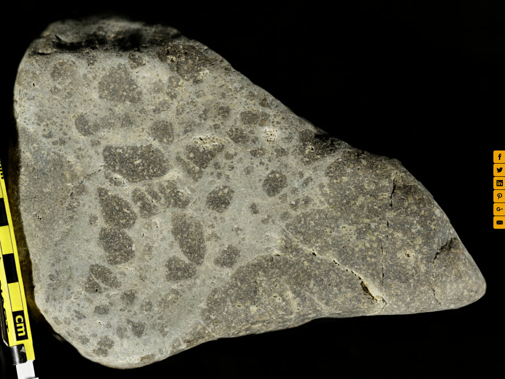 Rounded cobble of intrusion breccia