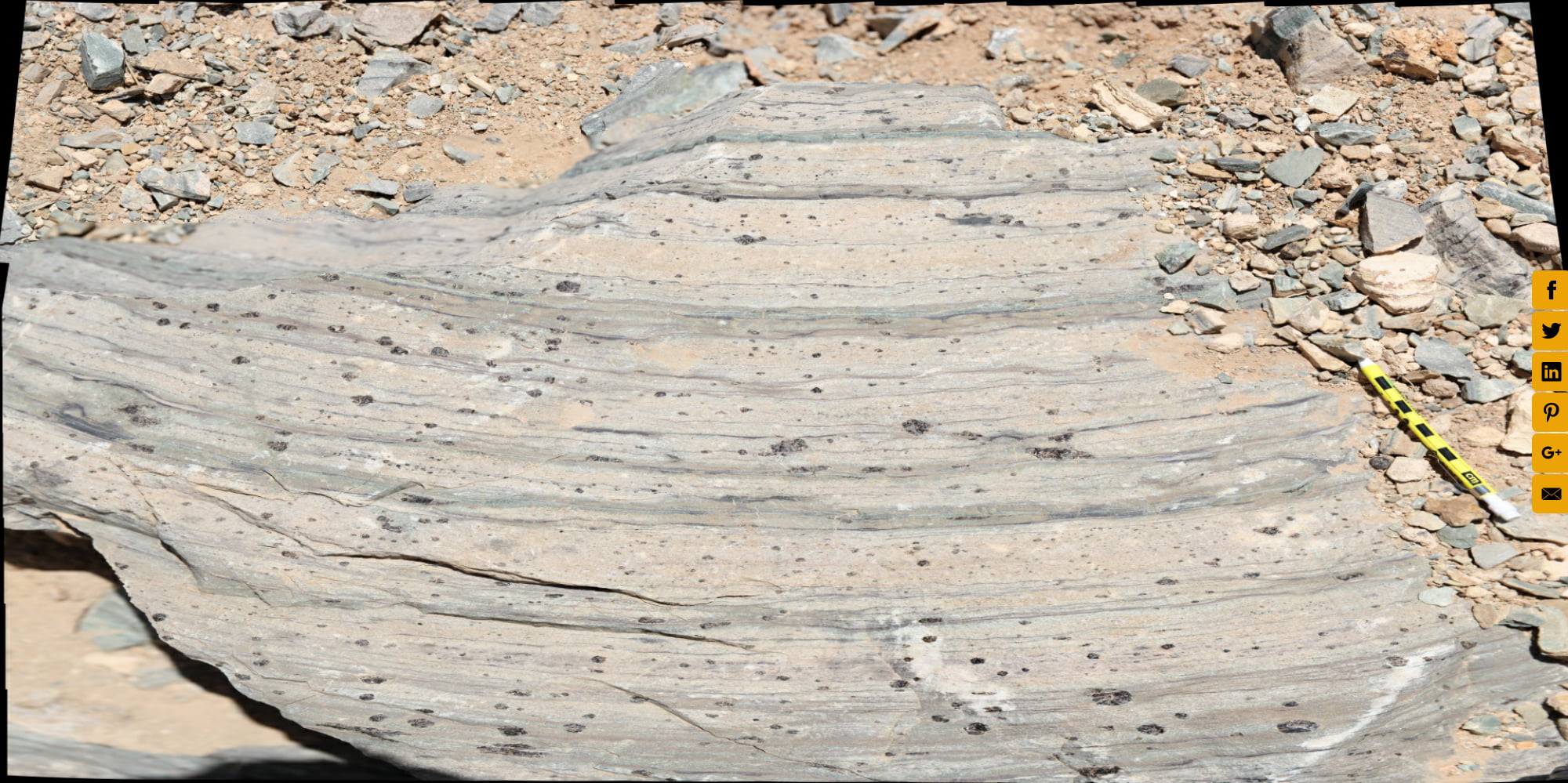 Garnet in Castner Marble, Franklin Mountains, West Texas