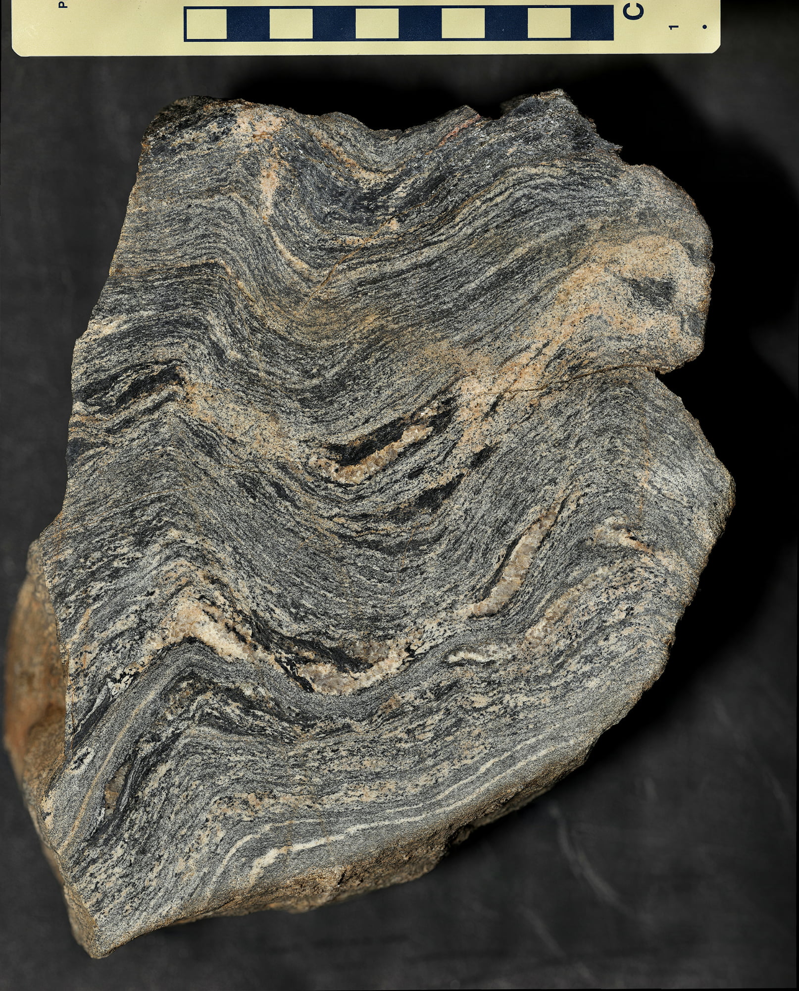 Migmatite