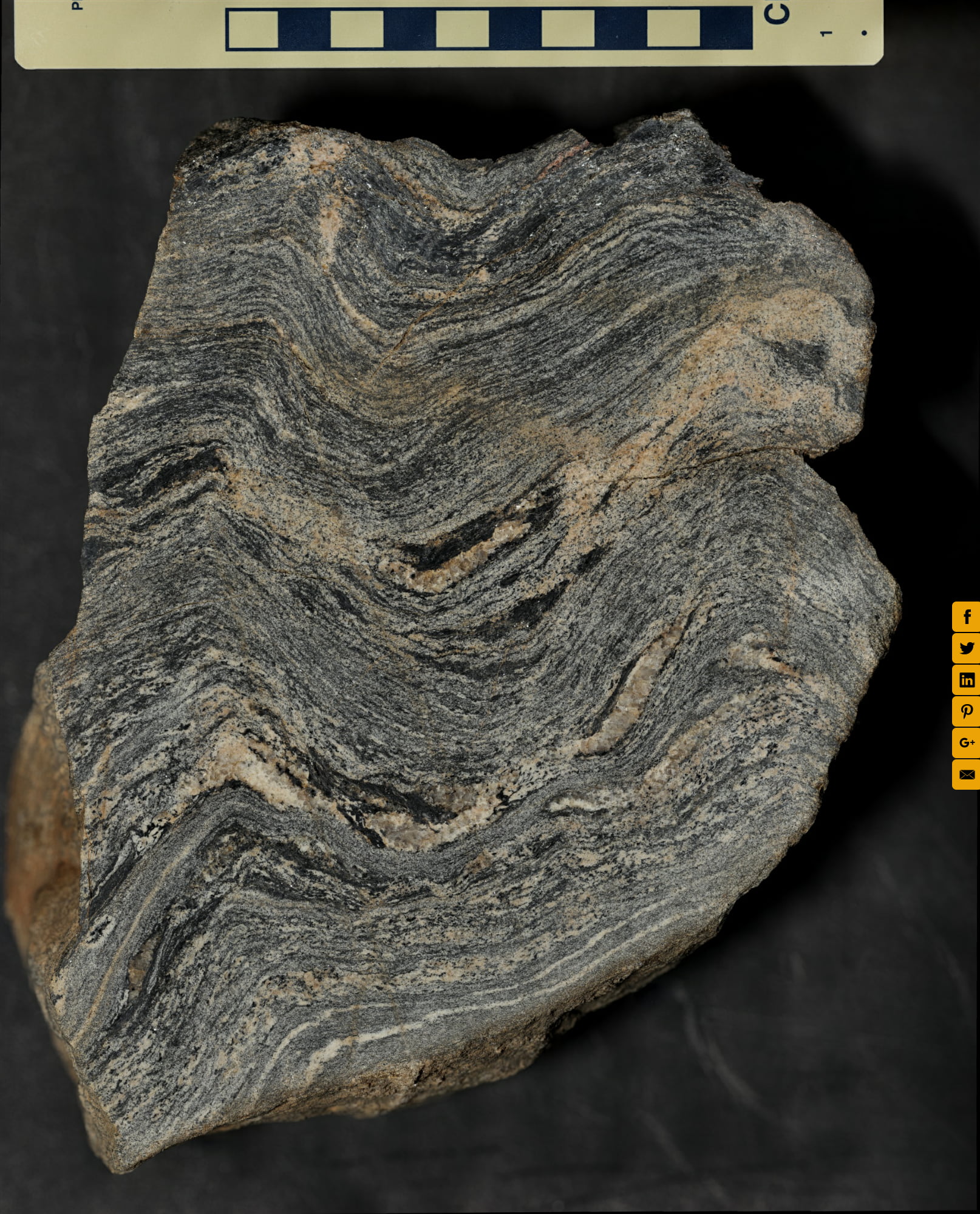 Migmatite