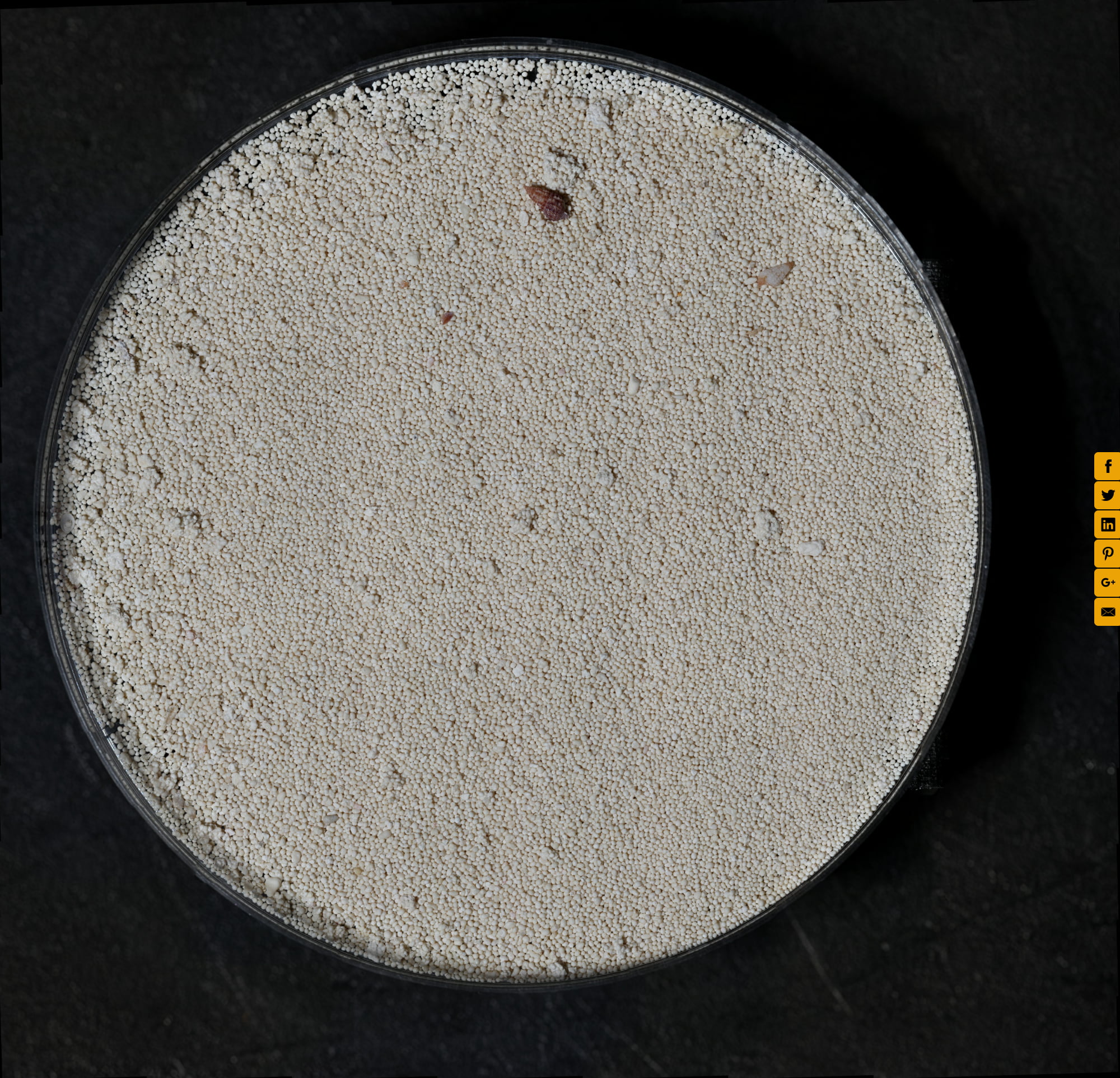 Sedimentary Rocks Lab Sample E