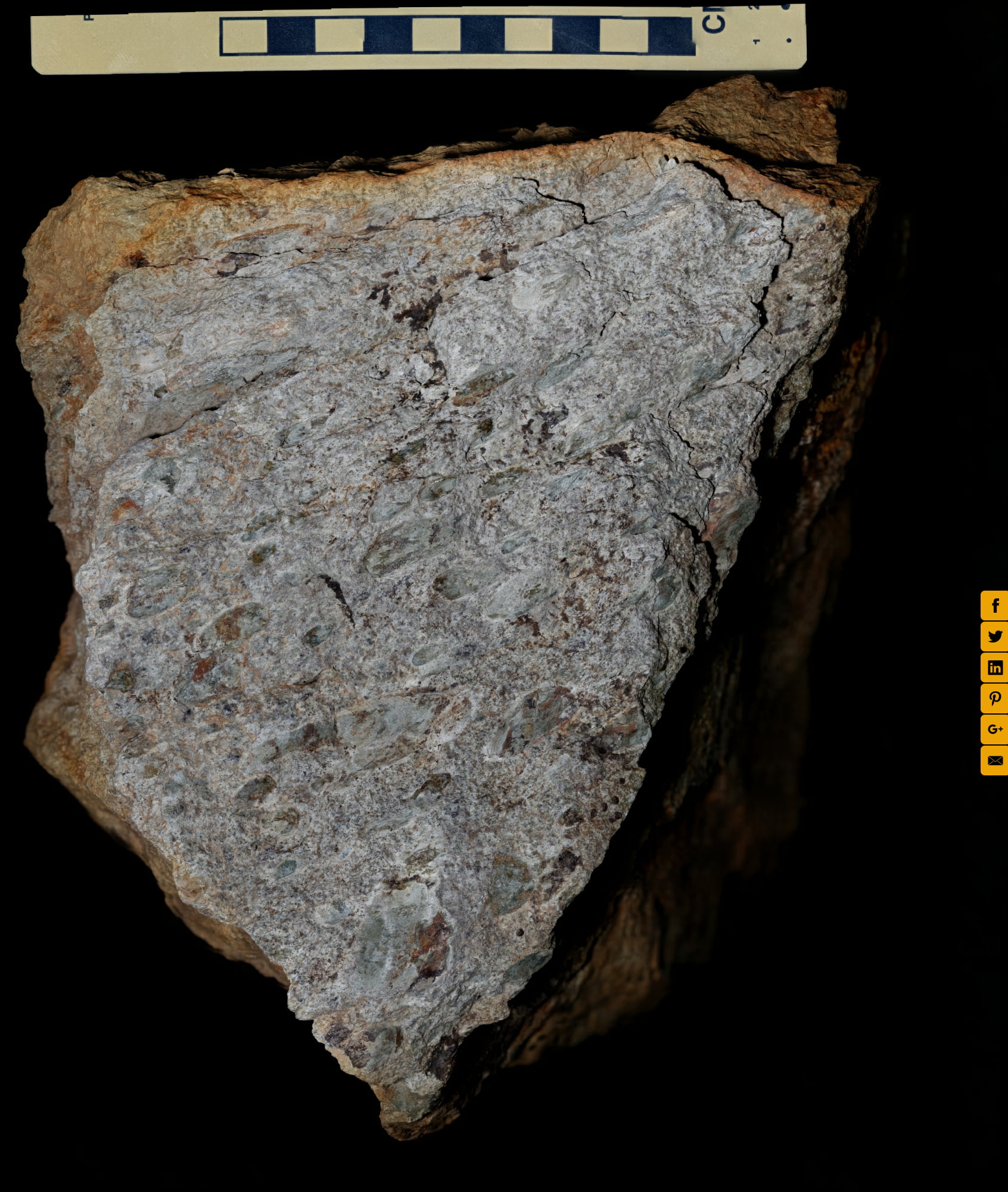 Amygdules in Catoctin Formation metabasalt