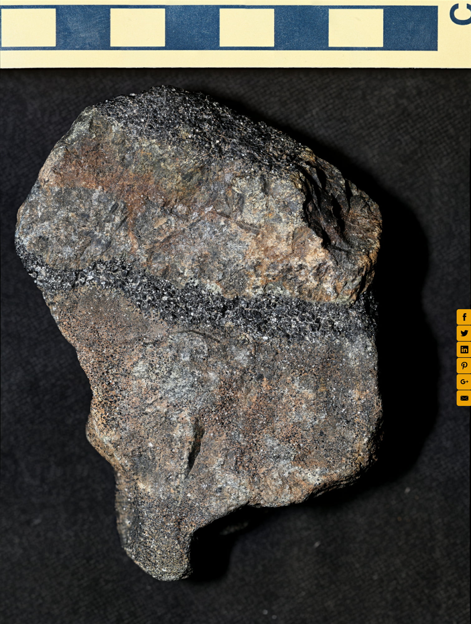 Chromite olivine cumulate, Stillwater Complex, Montana