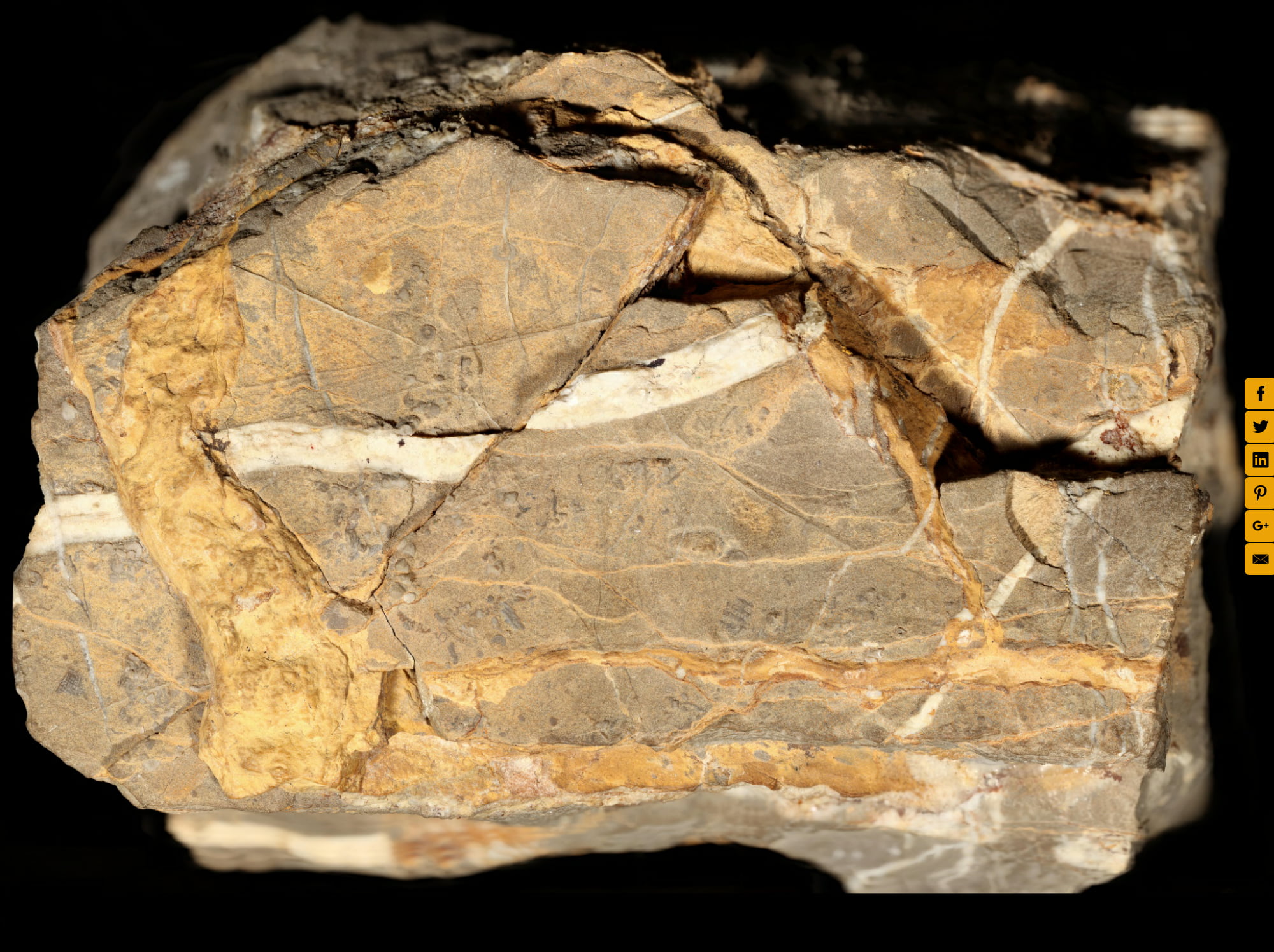 Cross-cutting features in a block of limestone