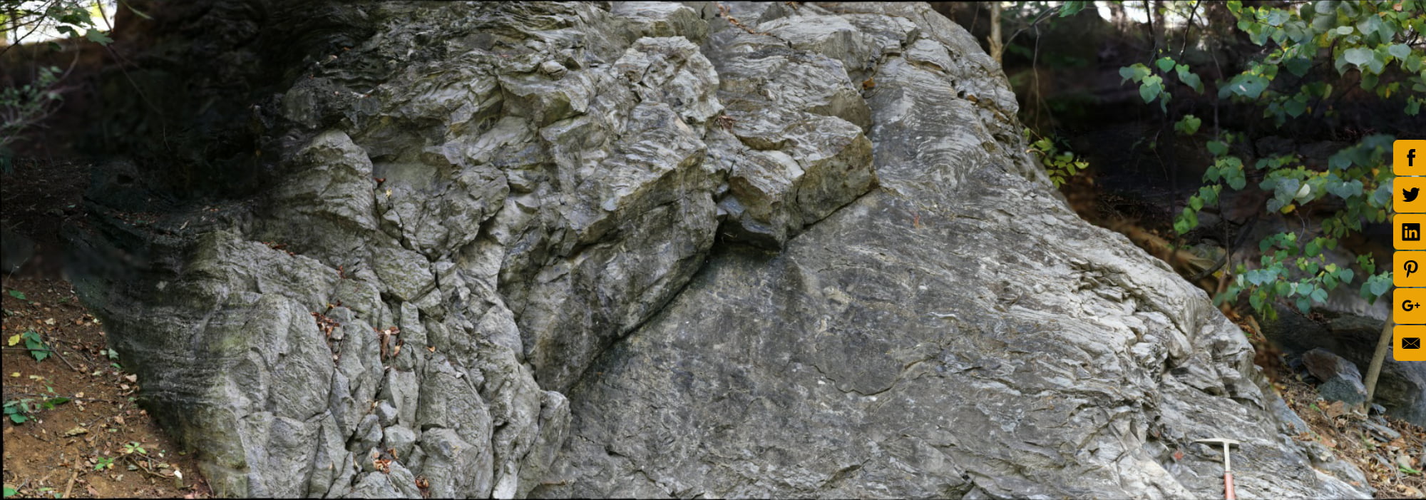 Conococheague Formation at Mulberry Run, showing stromatolites