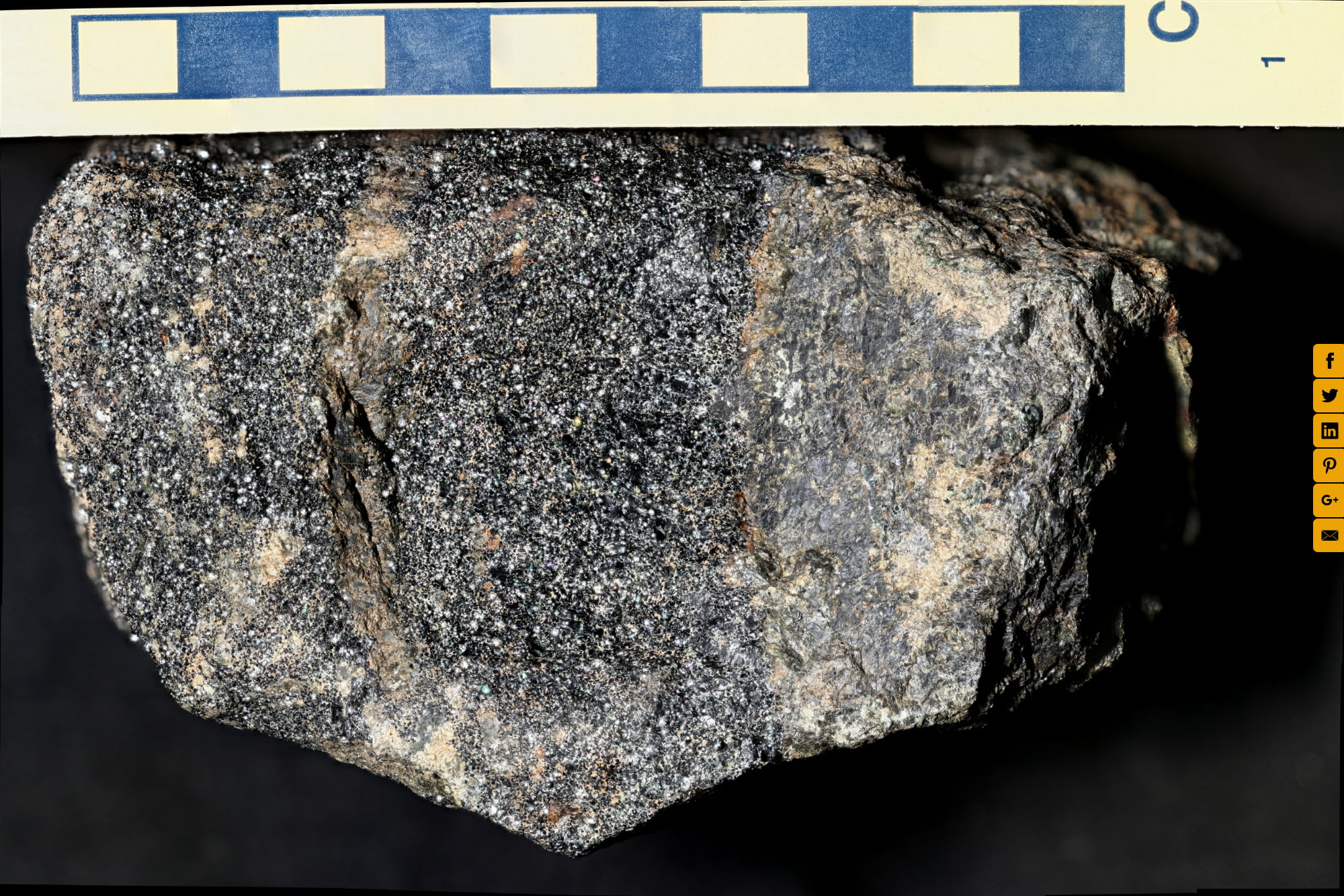 Chromite olivine cumulate, Stillwater Complex, Montana