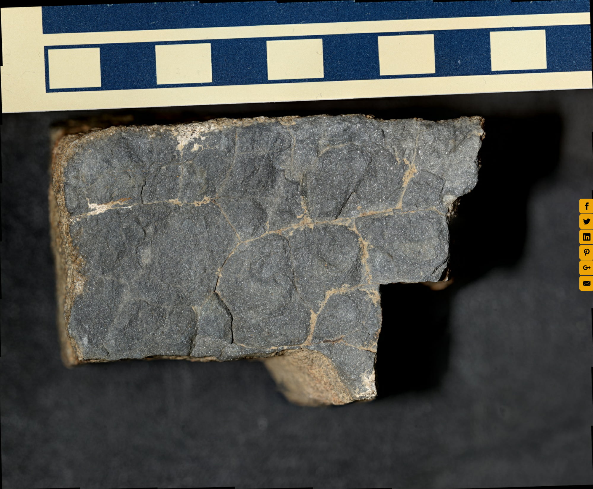 Ediacaran microbial mat: "elephant skin" texture