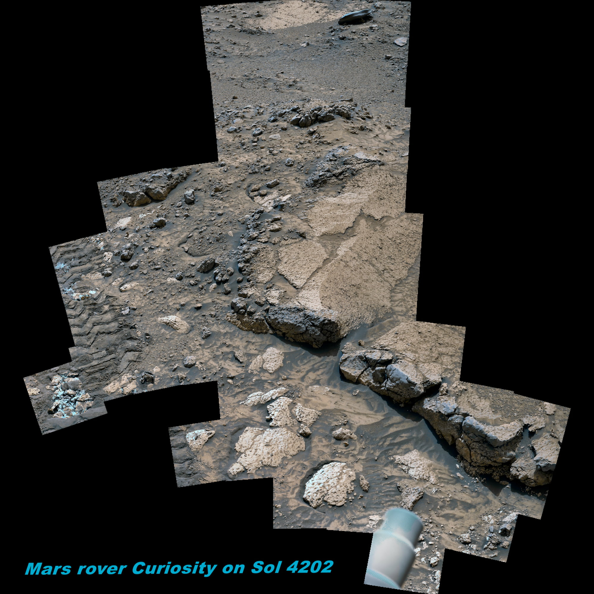 Mars rover Curiosity on Sol 4202