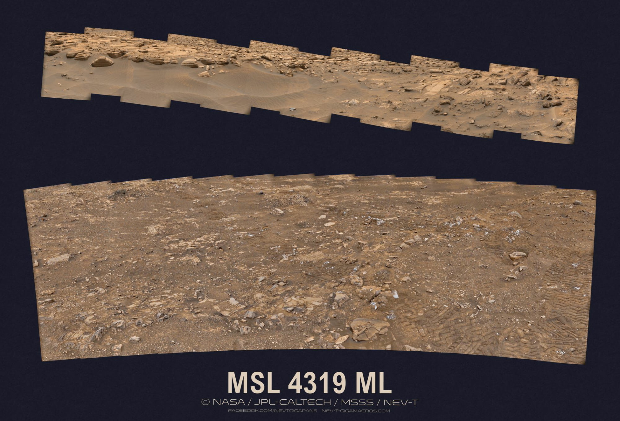 MSL 4319 ML