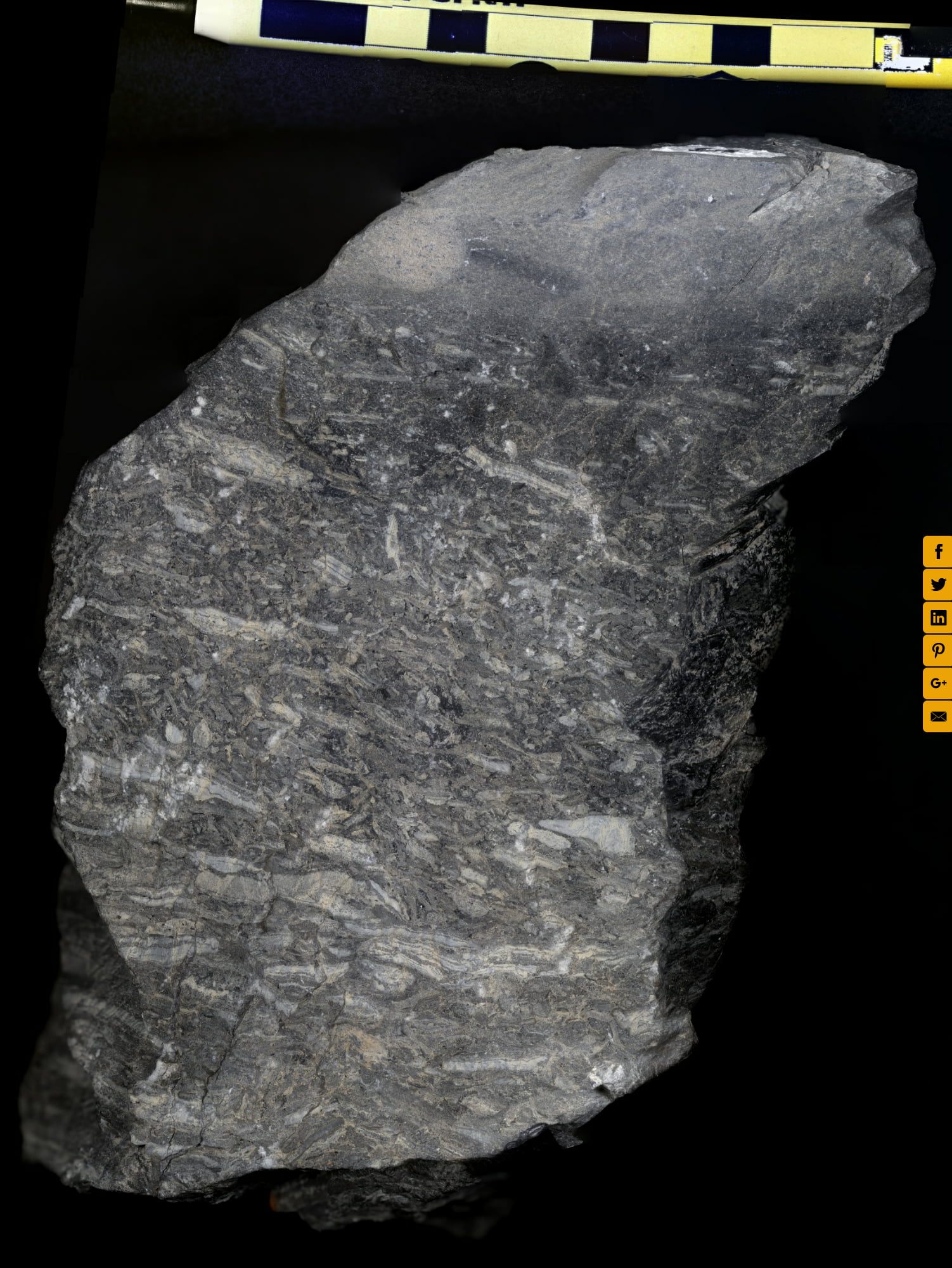 Sedimentary structures and environments 5