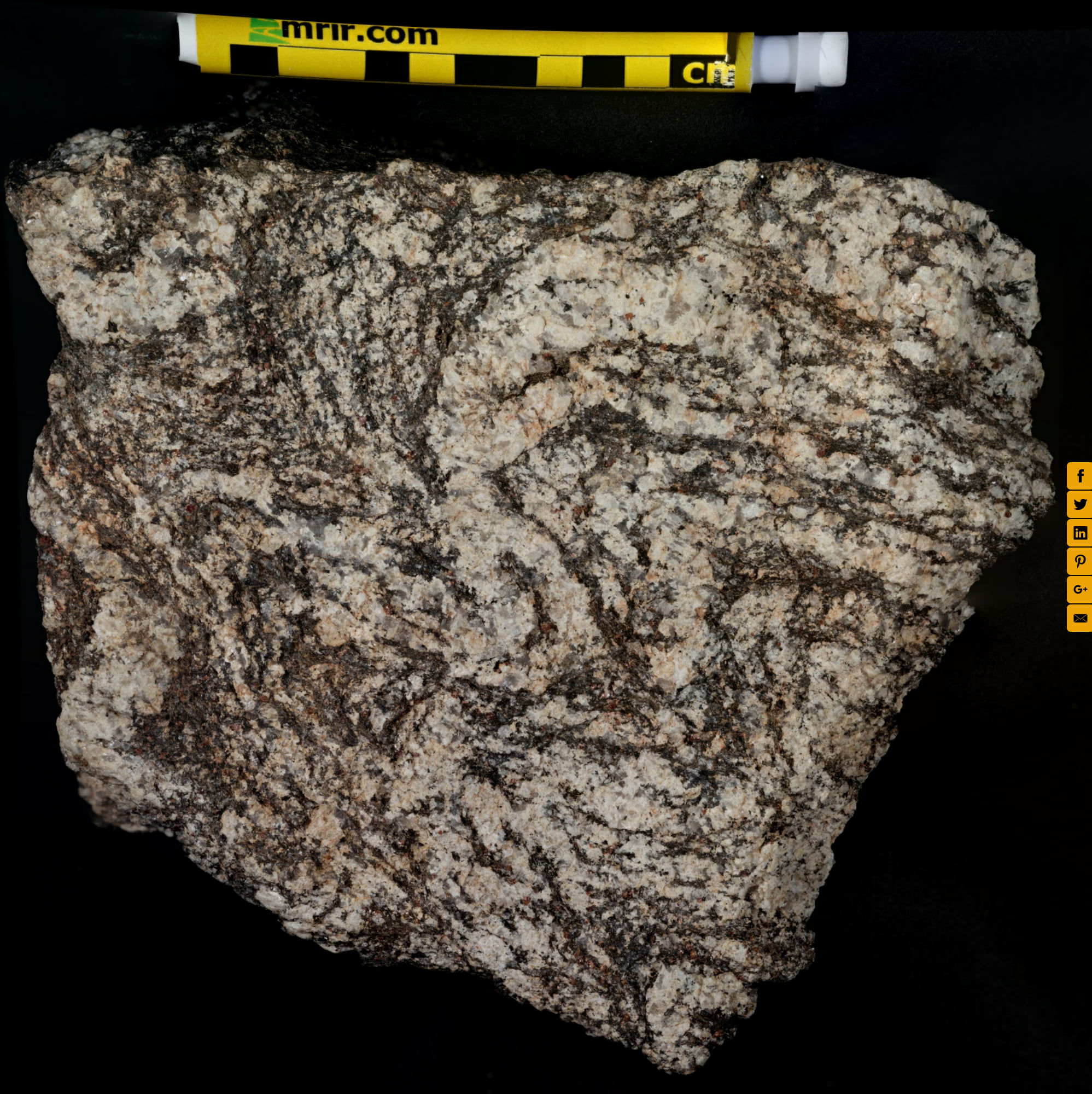 Folded gneiss