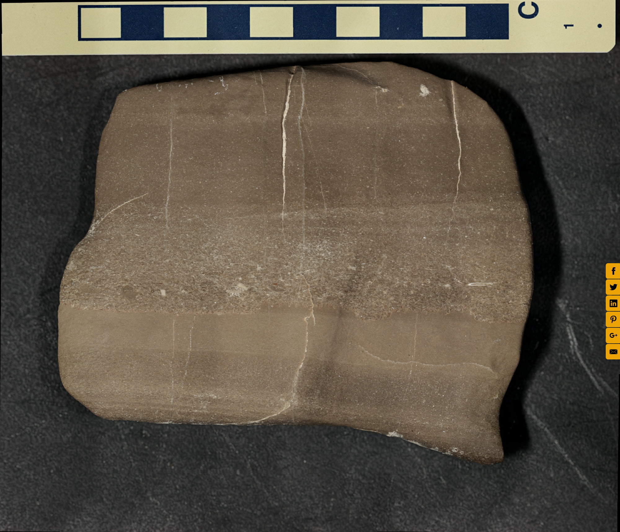 Sedimentary Rocks Lab Sample X