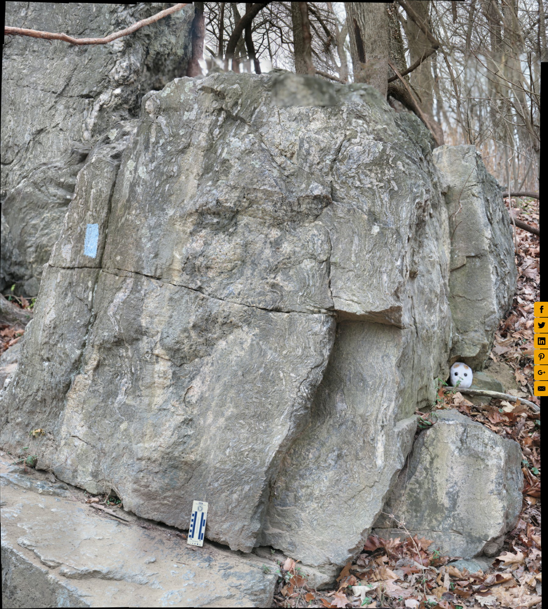 Outcrop for students to identify and interpret
