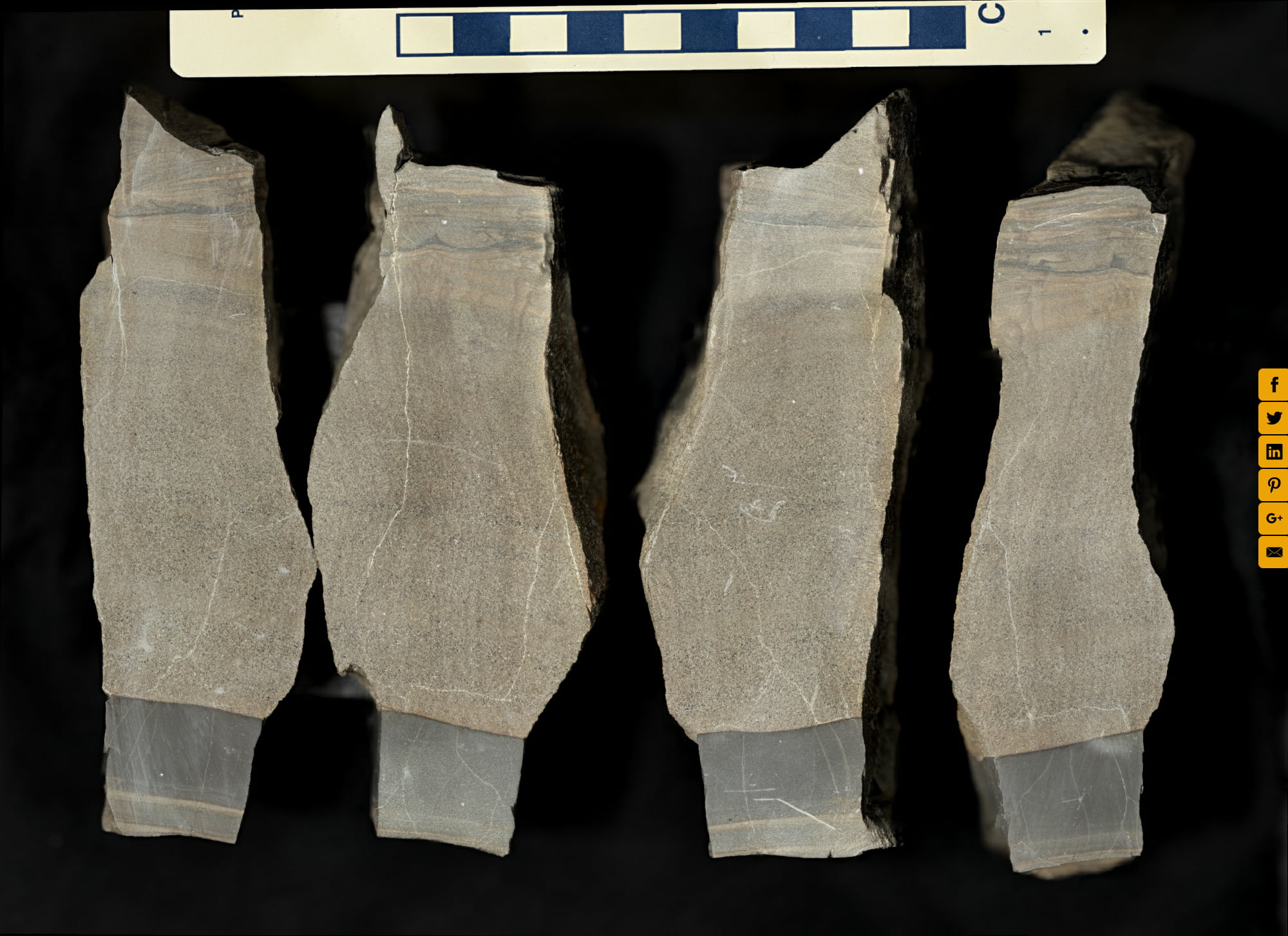 Sedimentary Rocks Lab Sample D