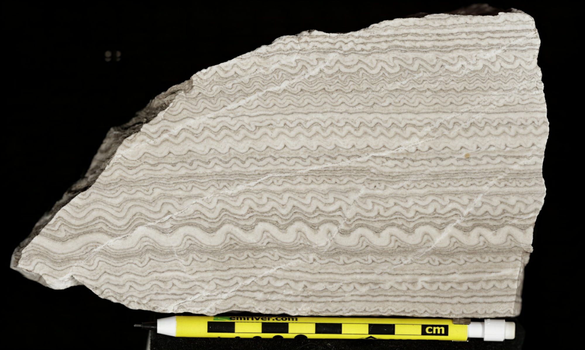 Intralayer folding in Permian Castile Formation gypsum/calcite varves ...