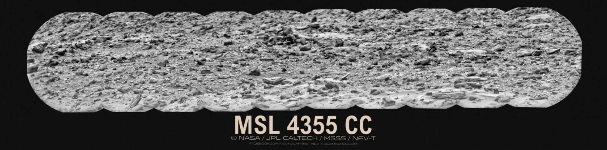 MSL 4355 CC