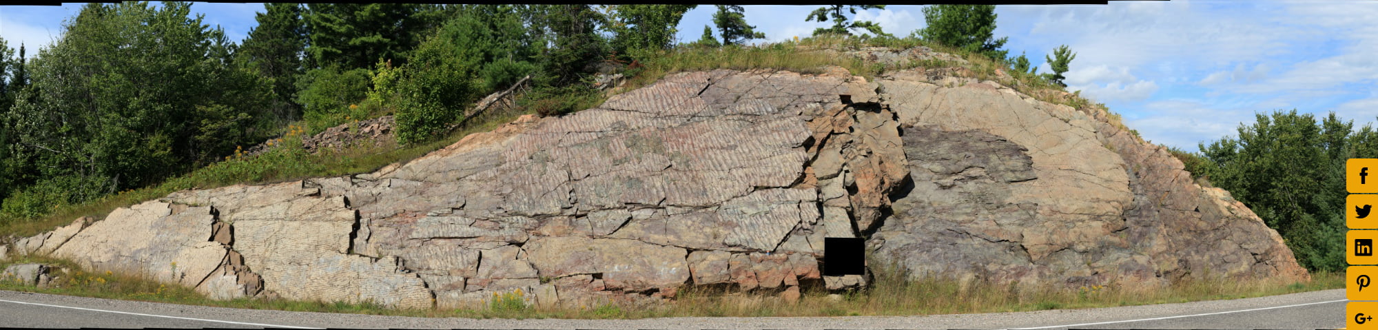 Sedimentary Structure?