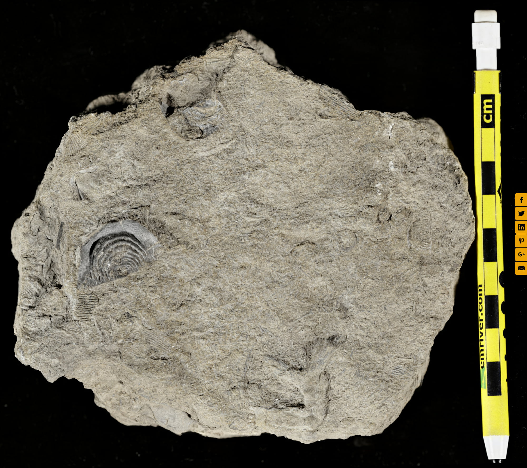 Sedimentary structures and environments 3