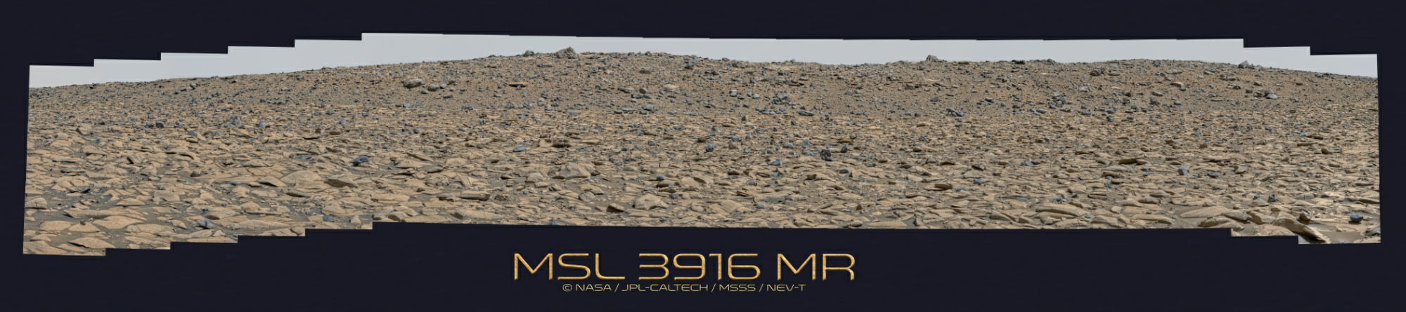 MSL 3916 MR