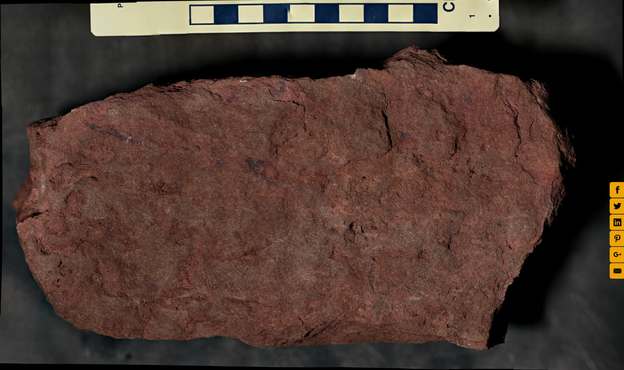 Sedimentary Rocks Lab Sample Y