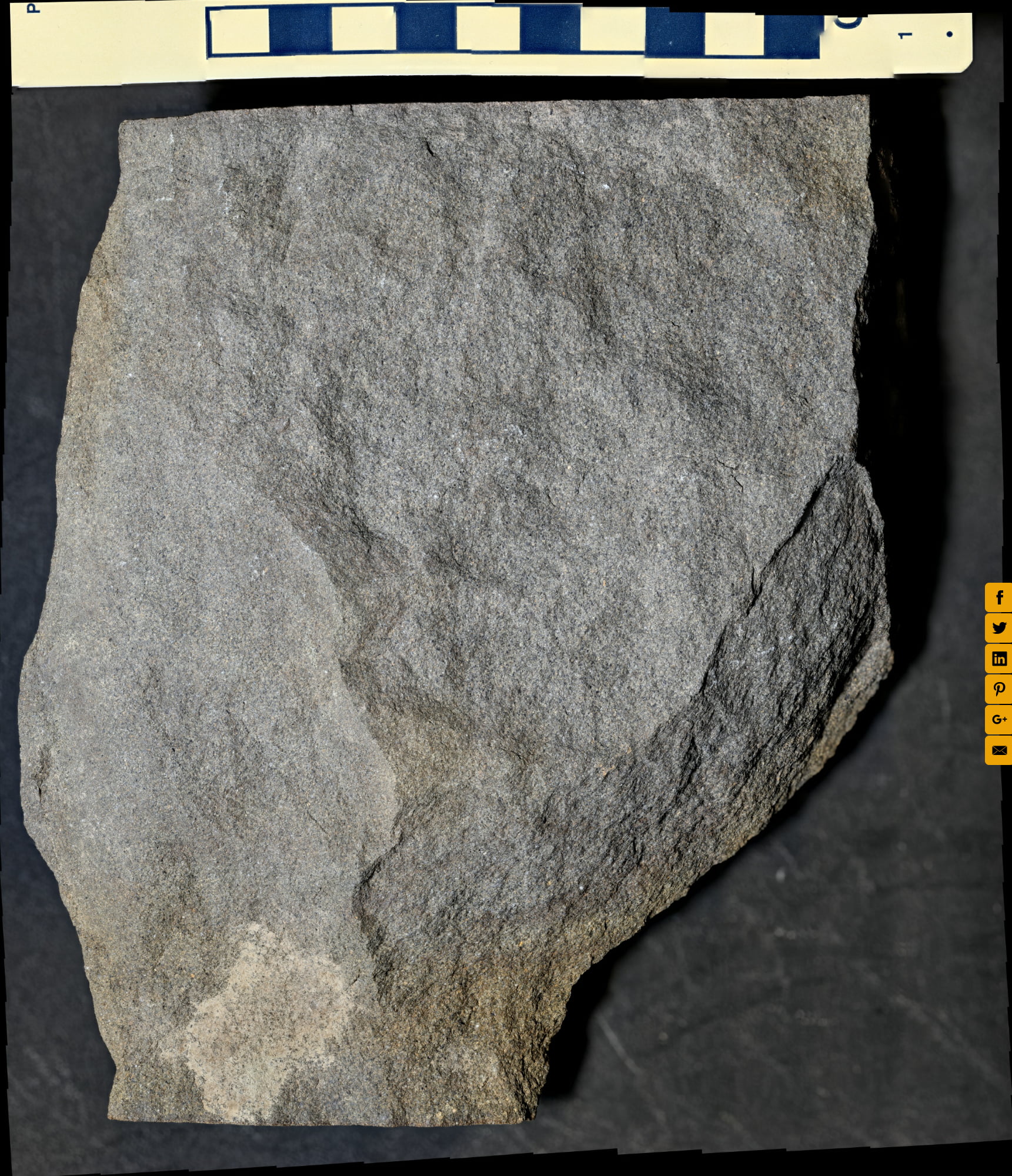 Sedimentary rock ID and interpretation 11b