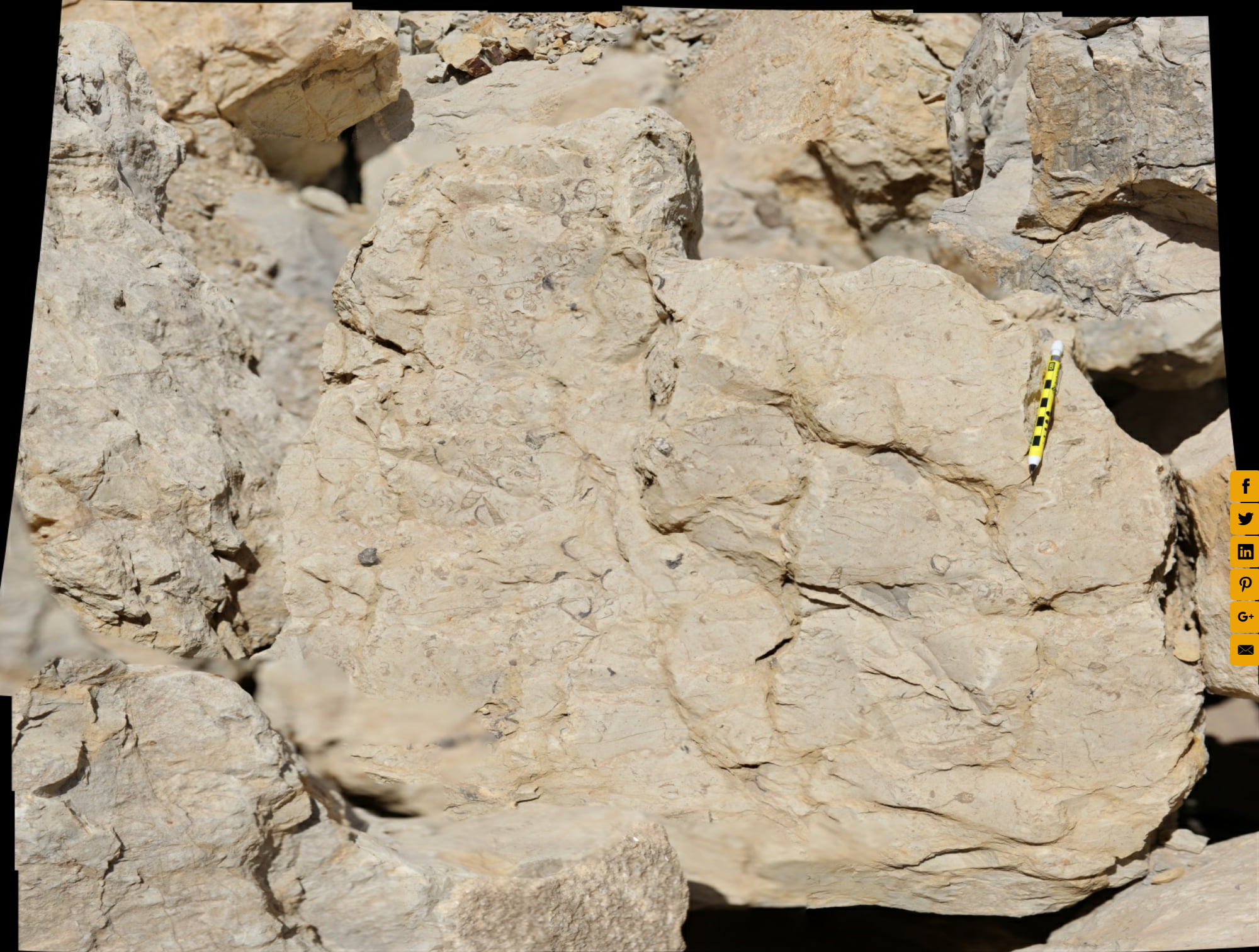 Sedimentary Lab Sample O