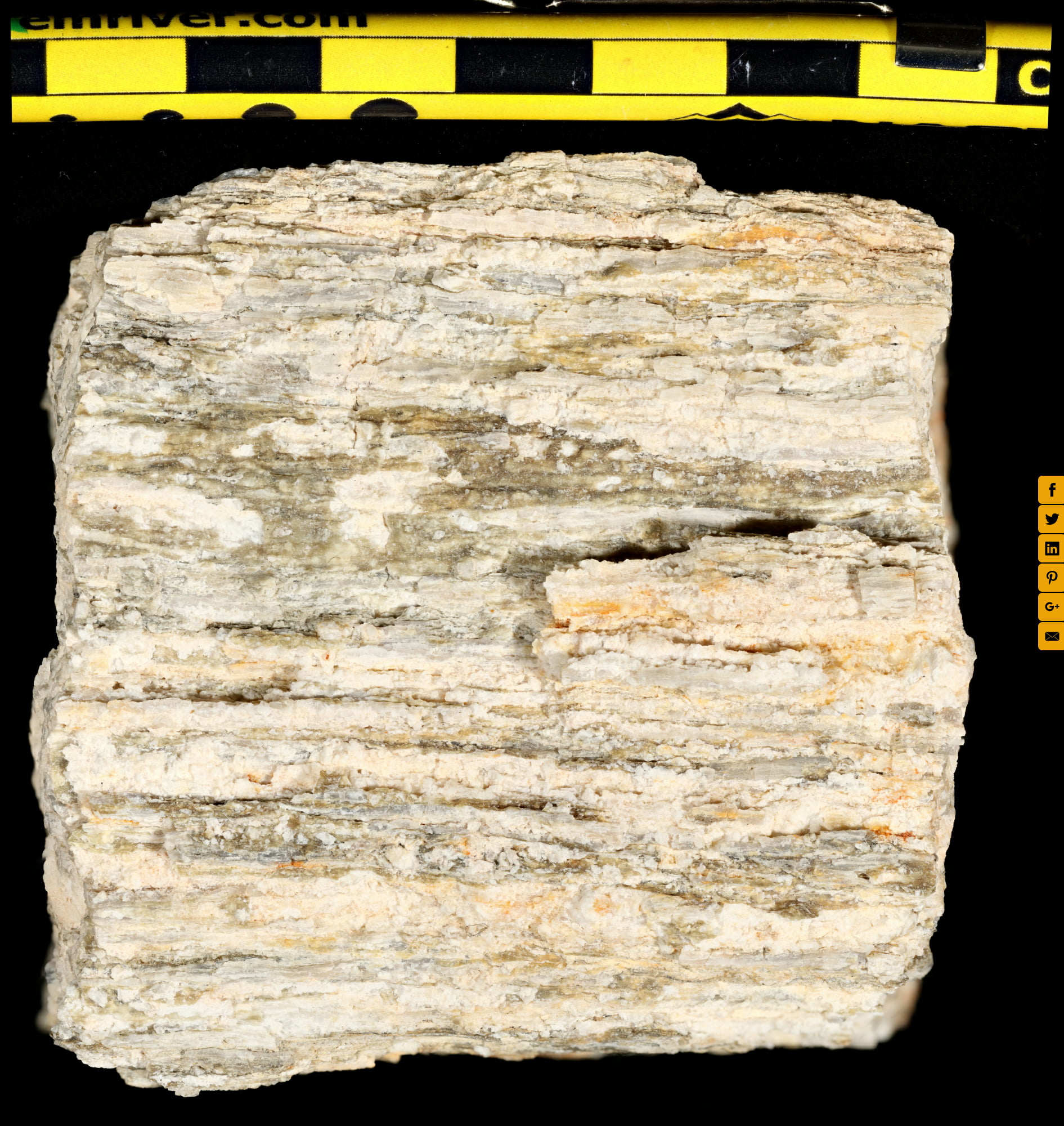 Mylonite with well-developed foliation and lineation