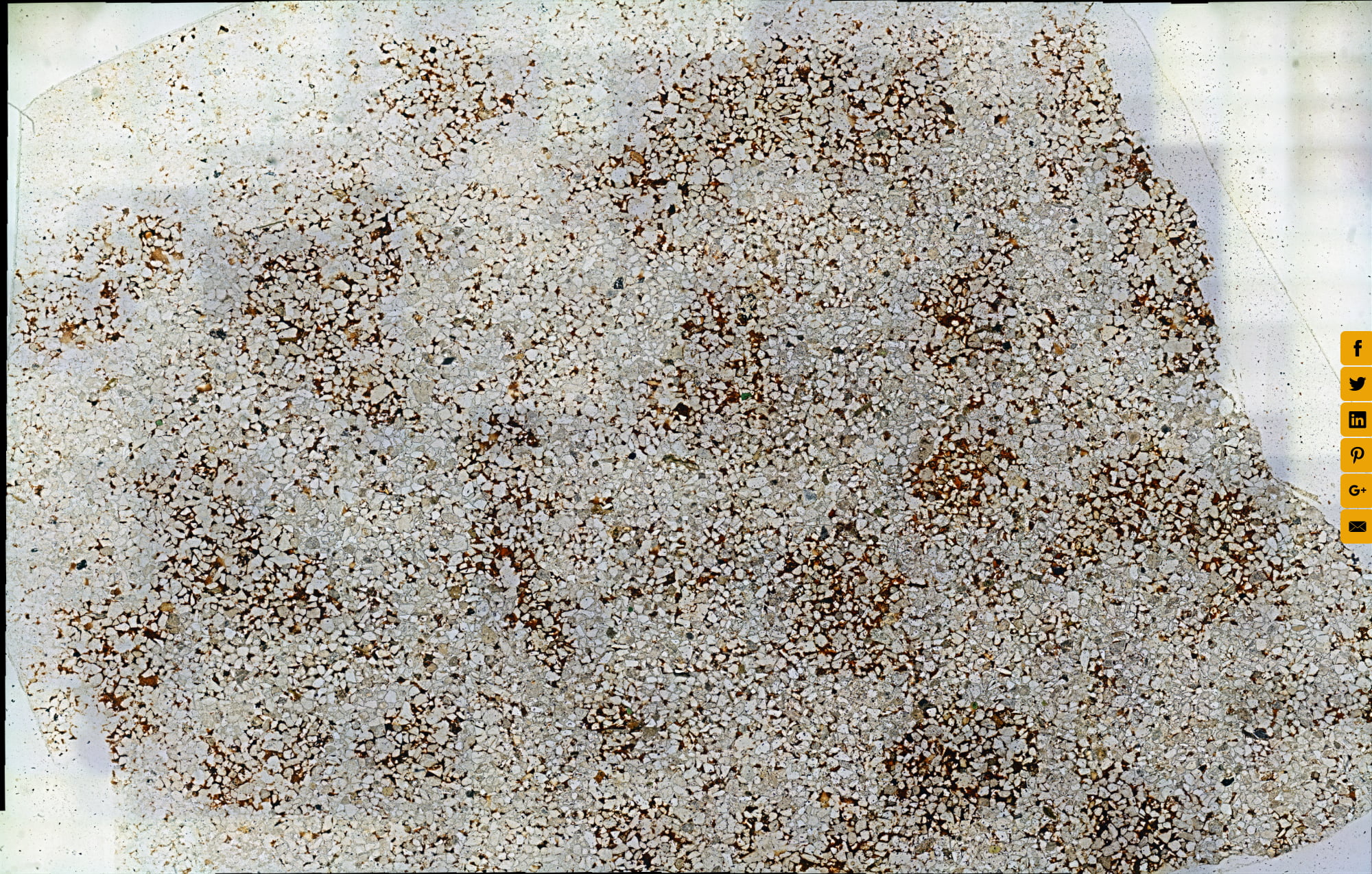 Sandstone with Calcite Cement, Plane Polars