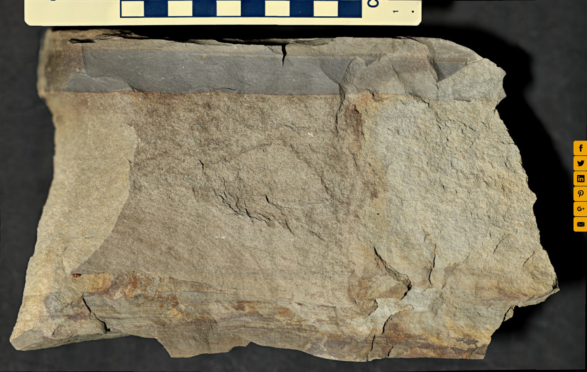 Sedimentary Rocks Lab Sample D