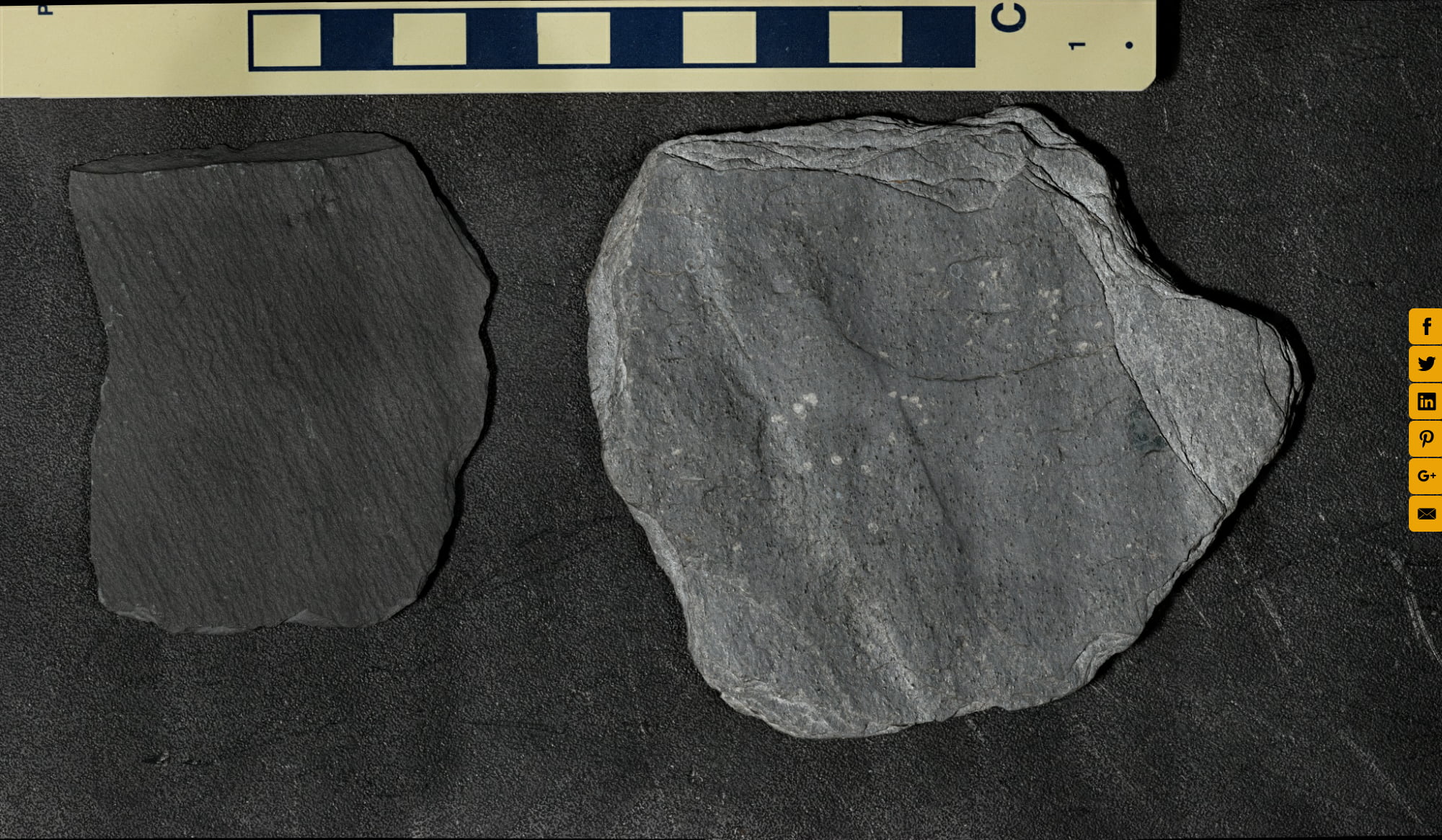 32. Gray slate (and phyllite)