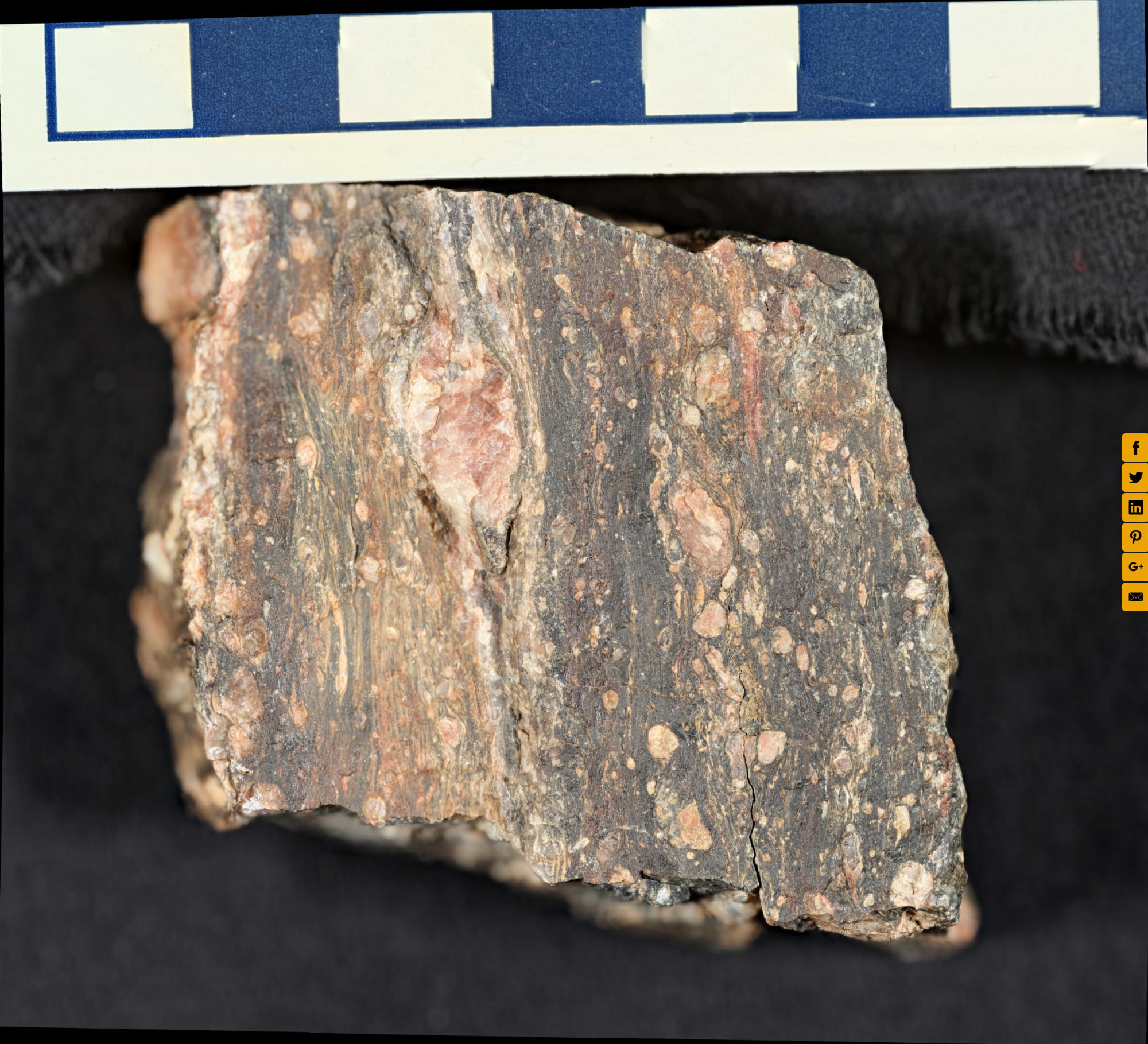 Mylonitized pseudotachylyte, Pofadder Shear Zone